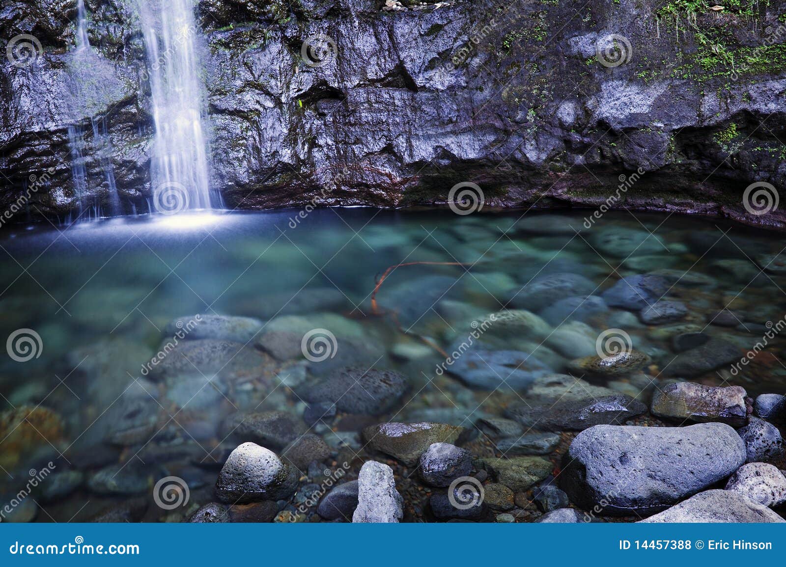Manoa Falls Trail Hike Oahu Hawaii Stock Photography | CartoonDealer ...
