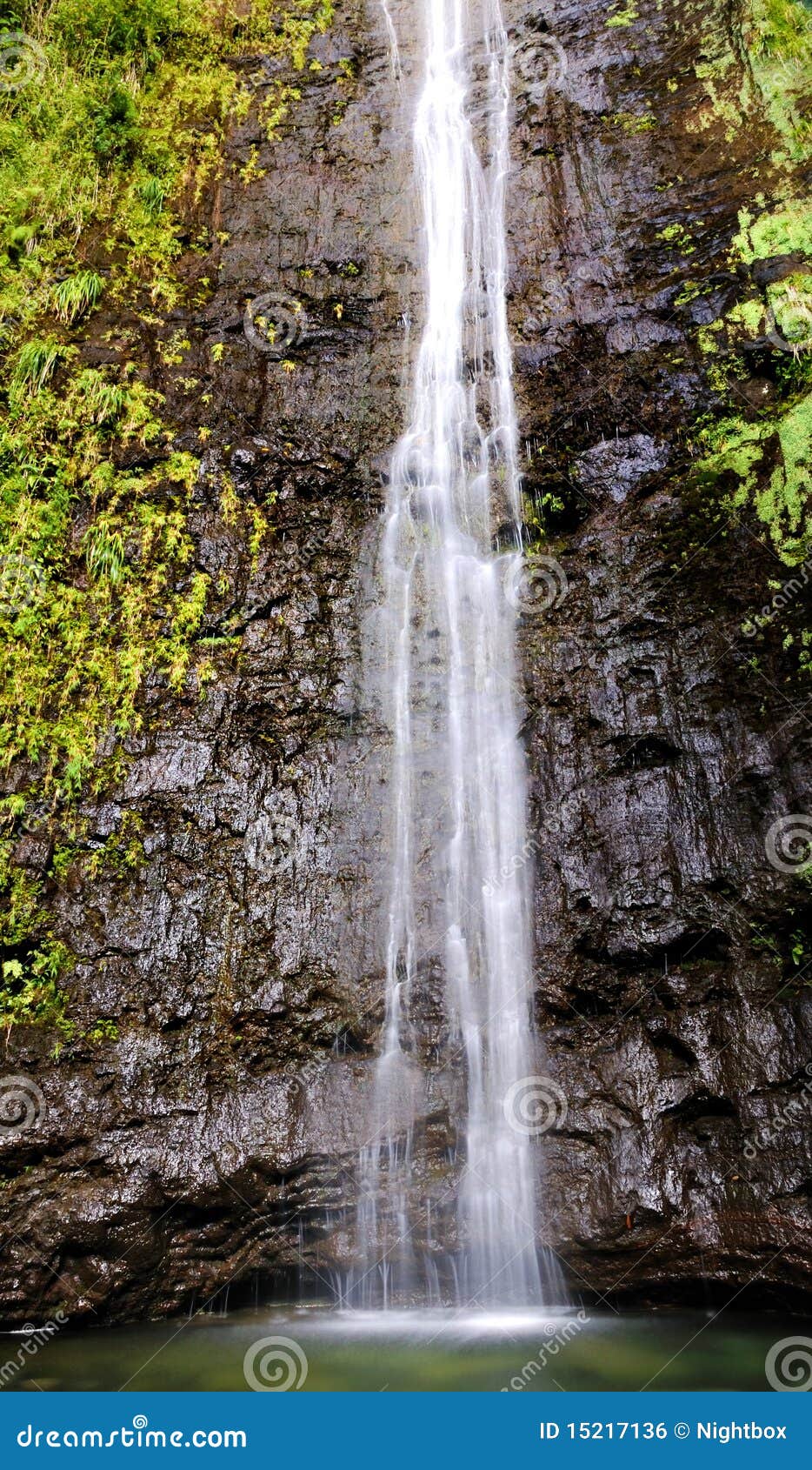 Manoa waterfalls stock photo. Image of cliff, outdoors - 15217136