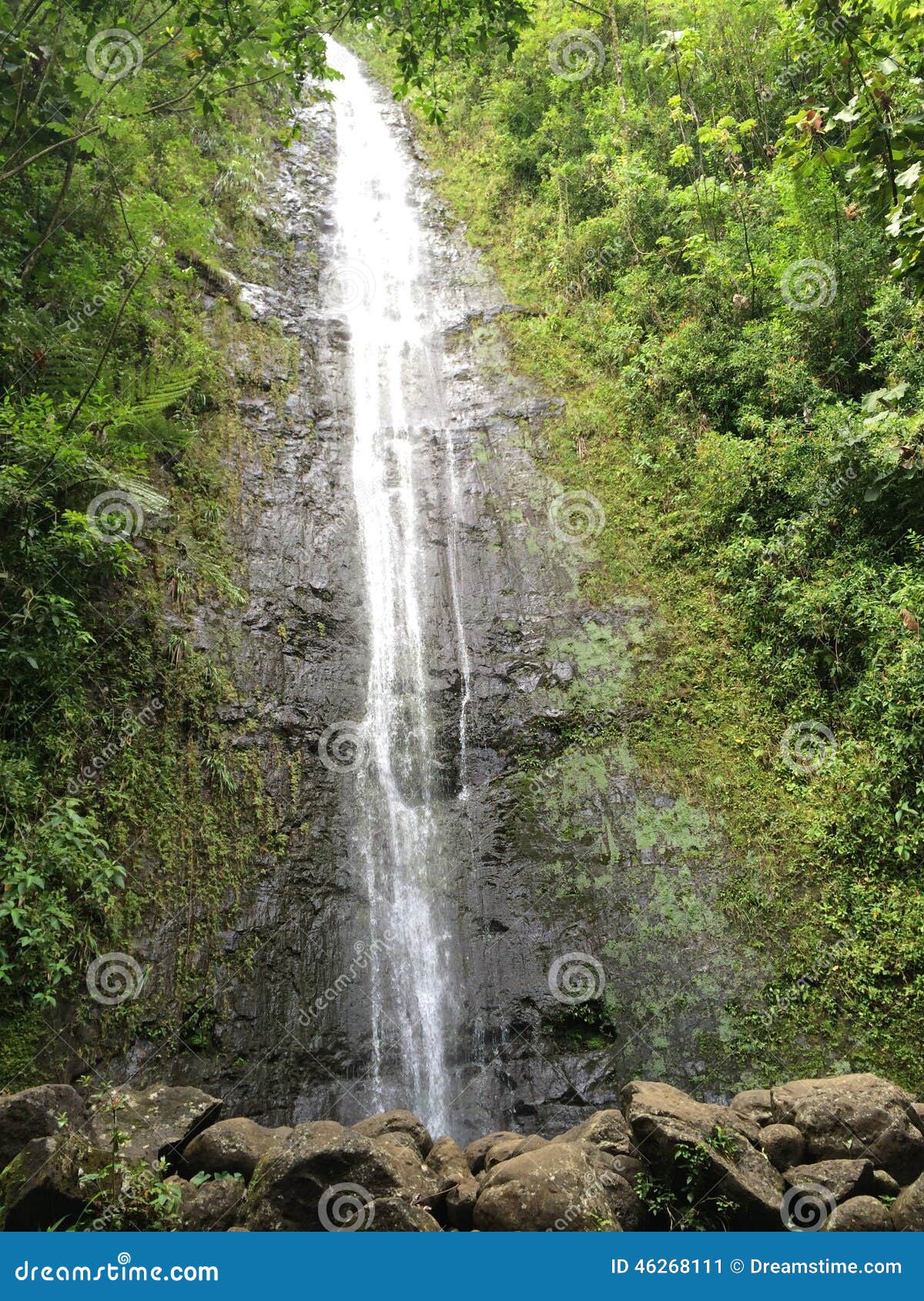 Manoa Waterfalls stock image. Image of rocks, water, manoa - 46268111