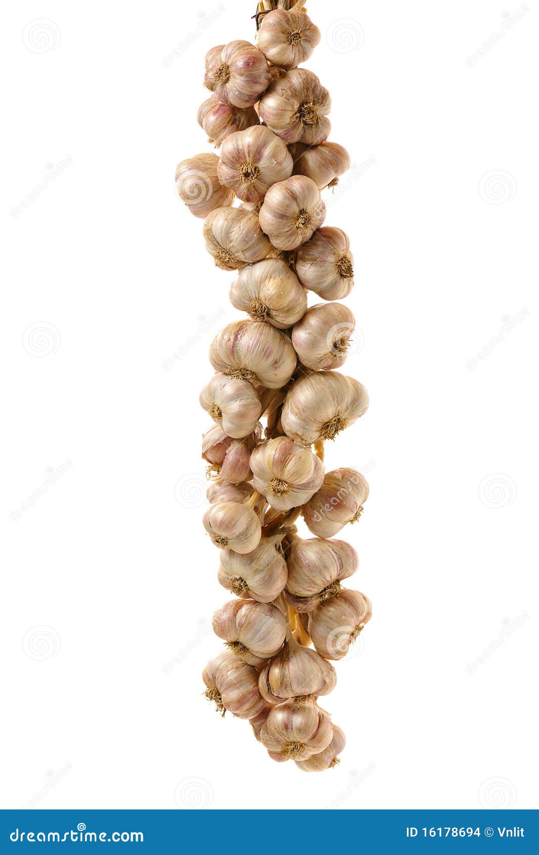 Manojo de ajo foto de archivo. Imagen de condimento, texturizado - 16178694
