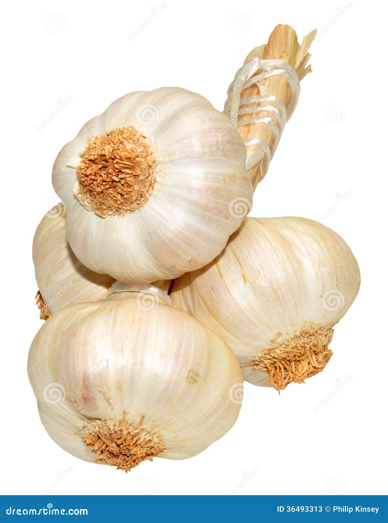 Manojo de ajo imagen de archivo. Imagen de fondo, olor - 36493313