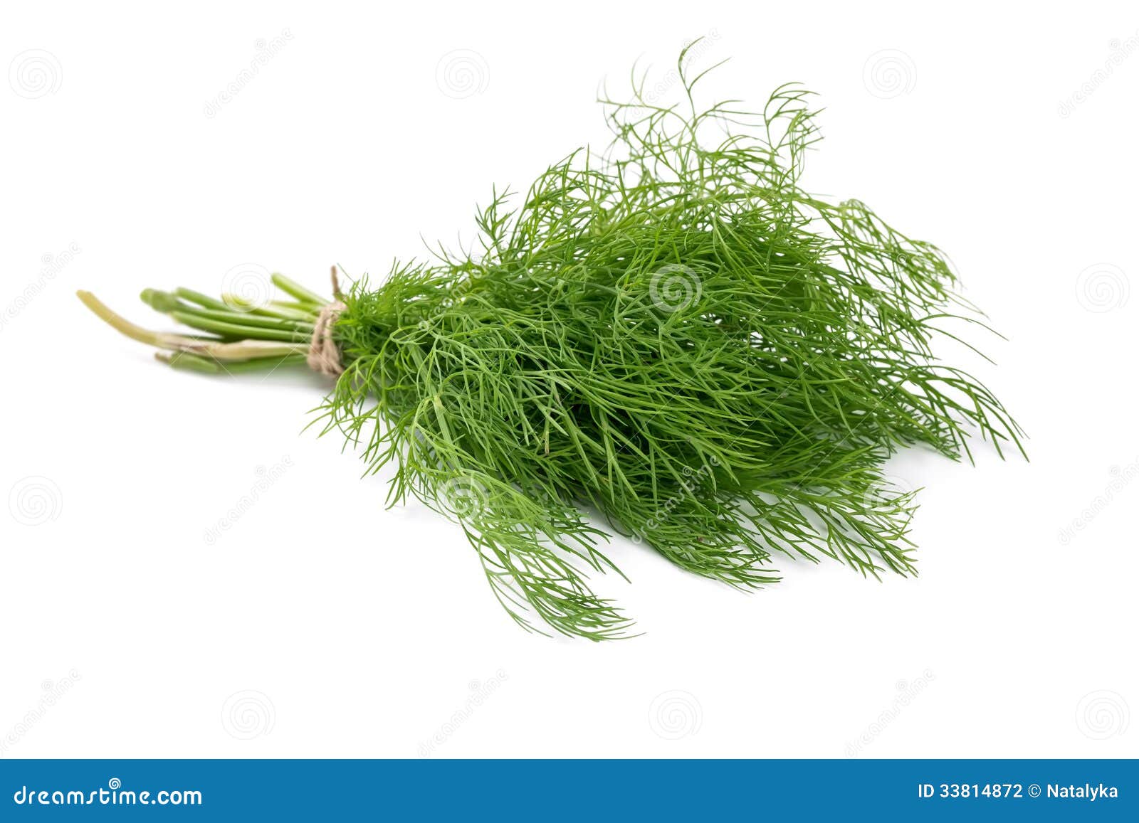 Manojo de eneldo foto de archivo. Imagen de color, comer - 33814872
