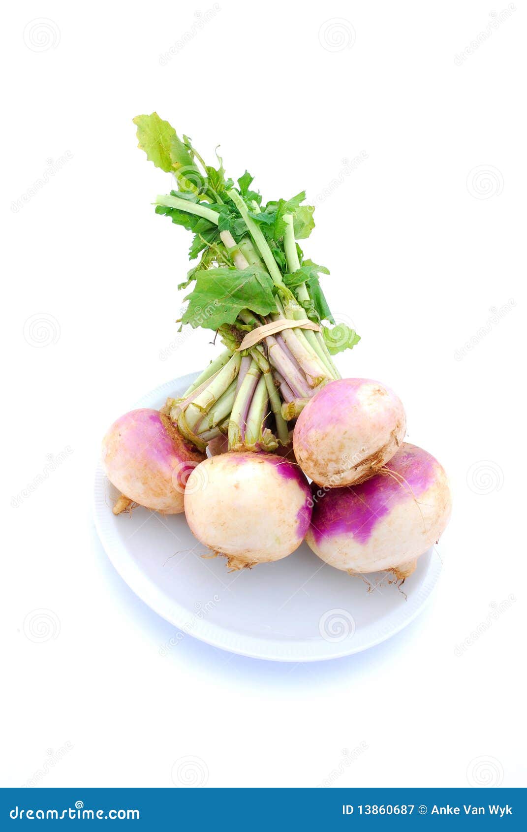 Manojo de nabos imagen de archivo. Imagen de sano, verduras - 13860687