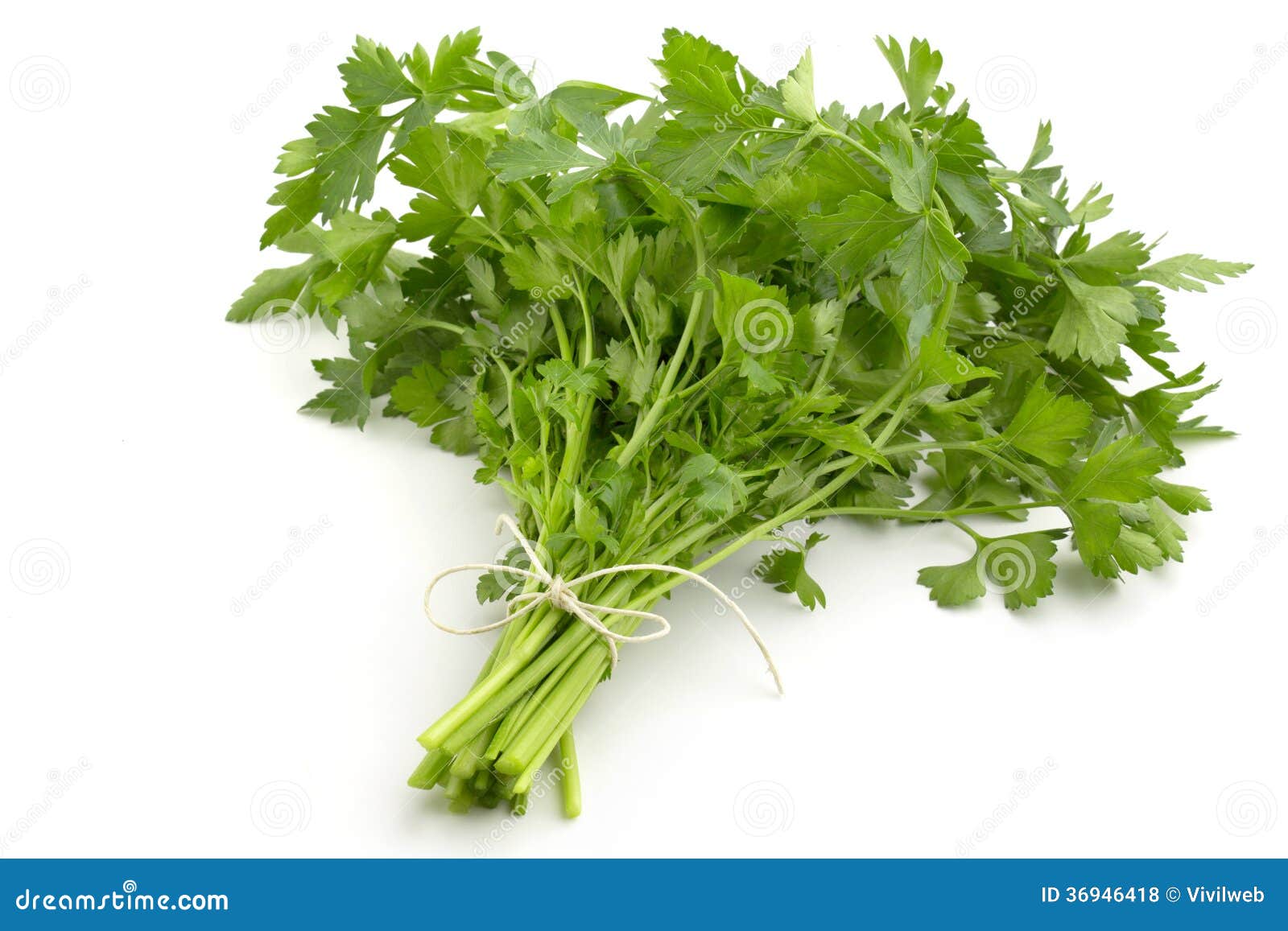 Manojo de perejil fresco foto de archivo. Imagen de ingrediente - 36946418