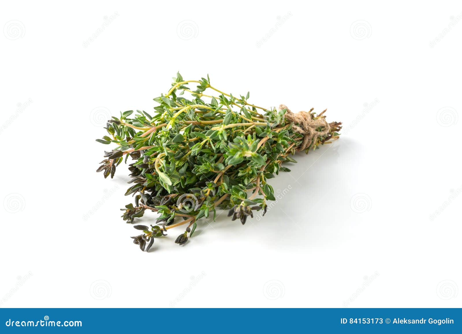 Manojo de tomillo imagen de archivo. Imagen de medicina - 84153173