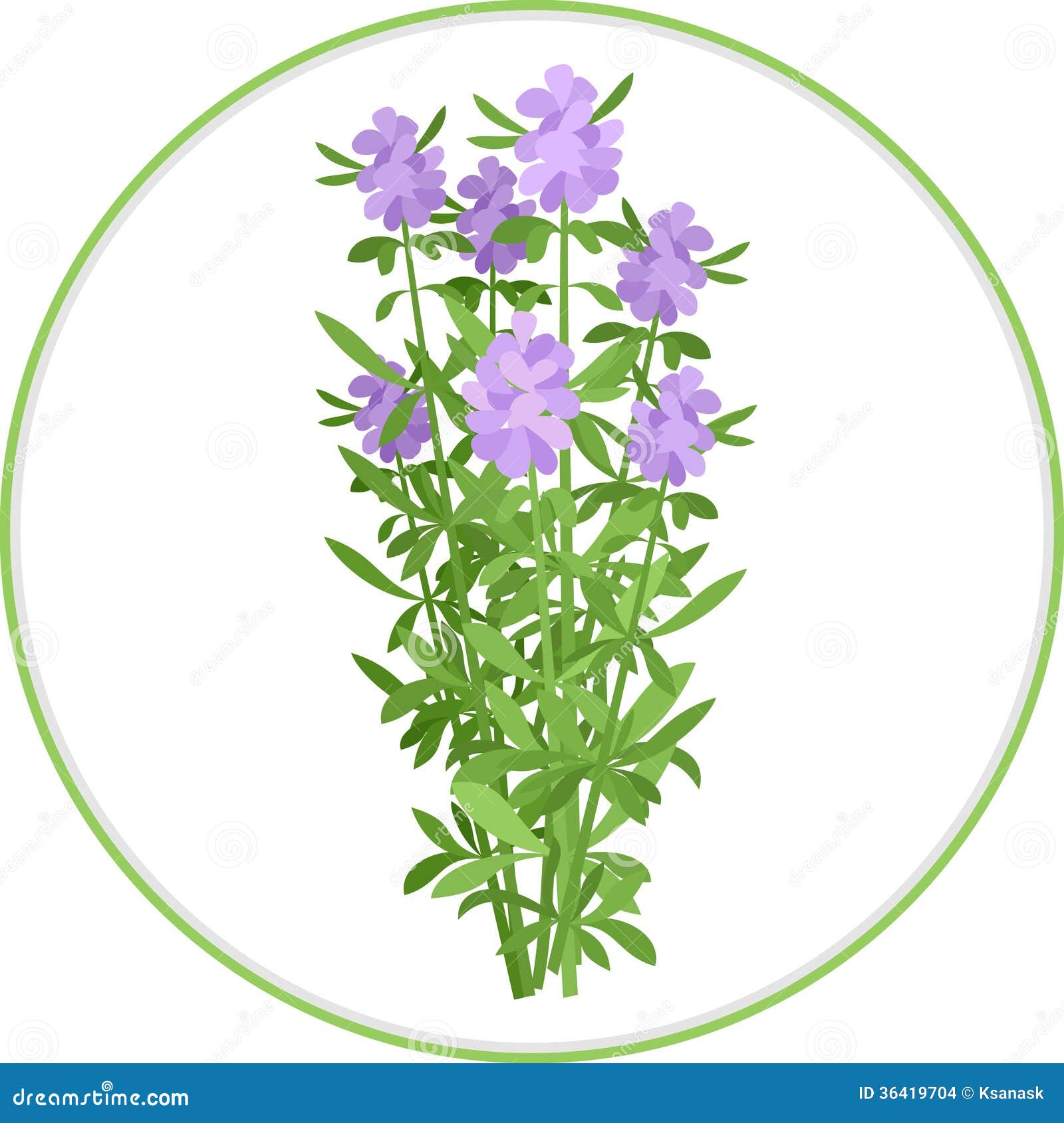 Hisopo Ilustraciones Stock, Vectores, Y Clipart – (369 Ilustraciones Stock)