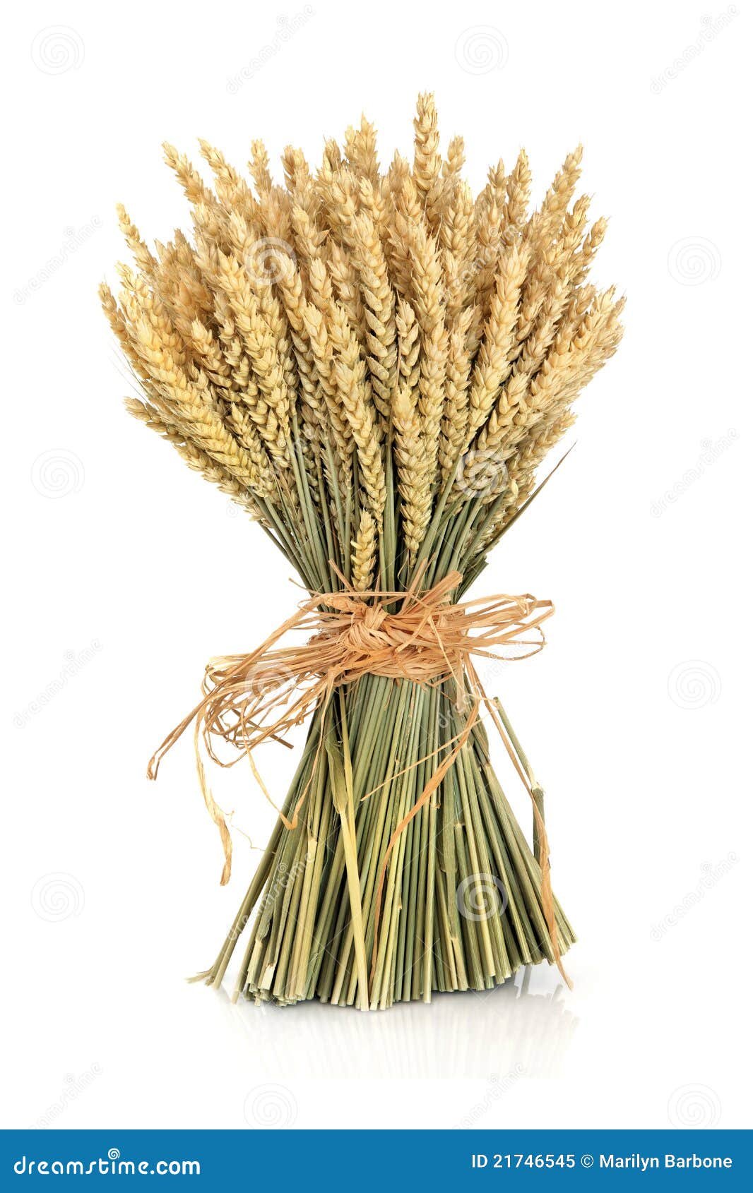 Manojo del trigo imagen de archivo. Imagen de grano, rafia - 21746545