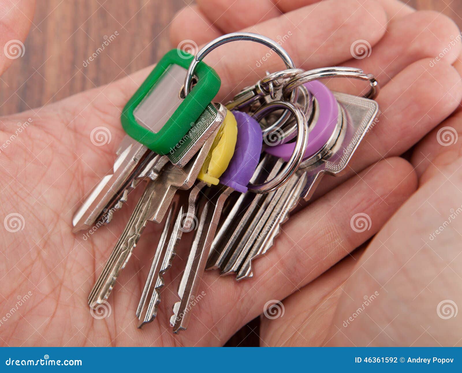 Manojo Que Lleva De La Mano De Llaves Foto de archivo - Imagen de ...