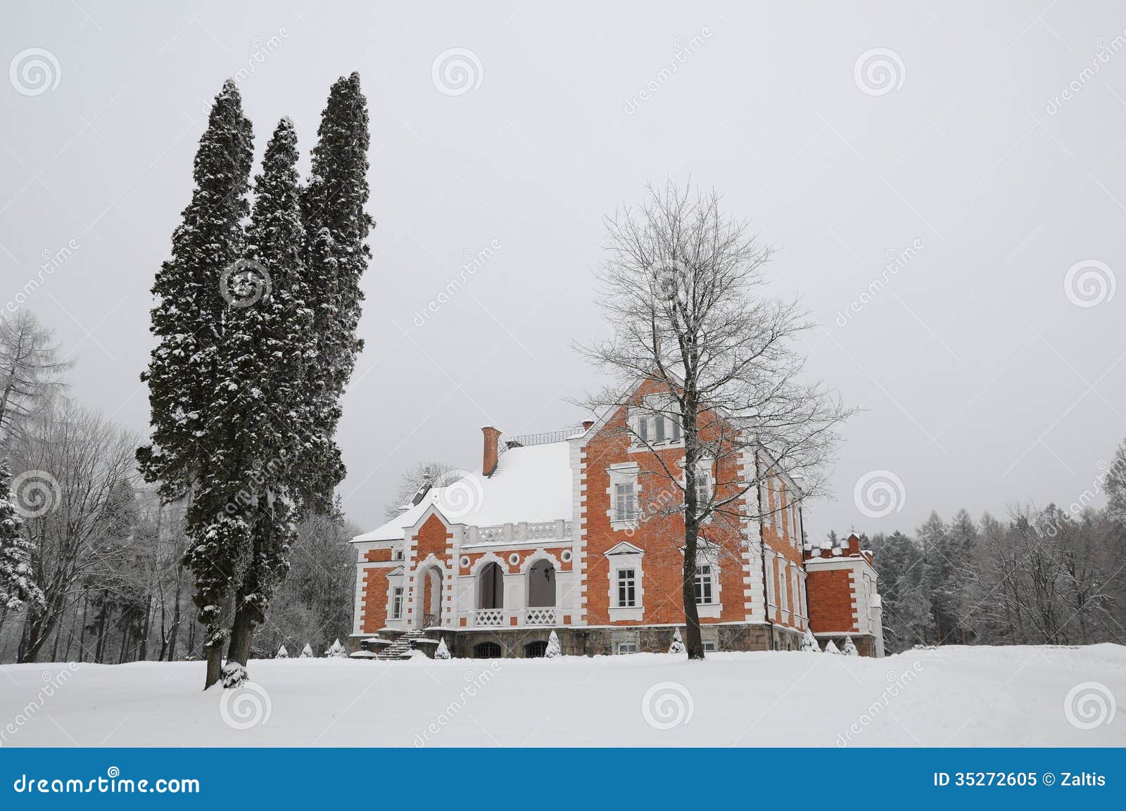 Manor in wintertime stock image. Image of season, building - 35272605