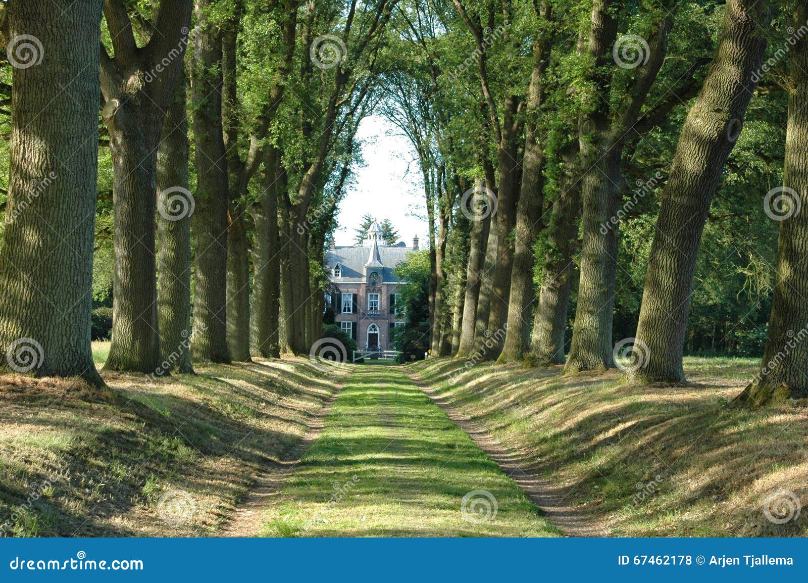 Manor in the woods stock photo. Image of forest, green - 67462178