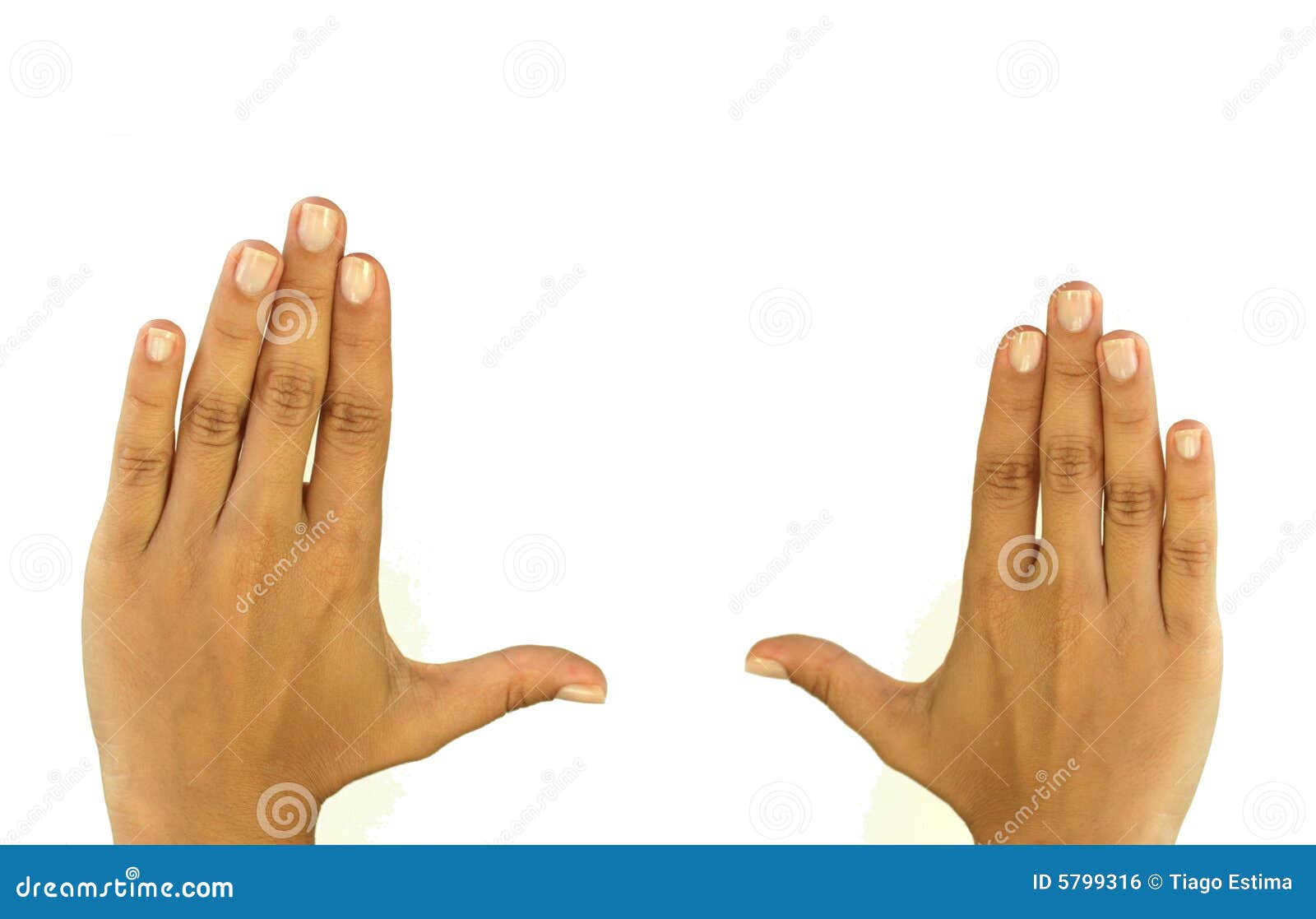 Manos foto de archivo. Imagen de insertar, comercial, aislado - 5799316