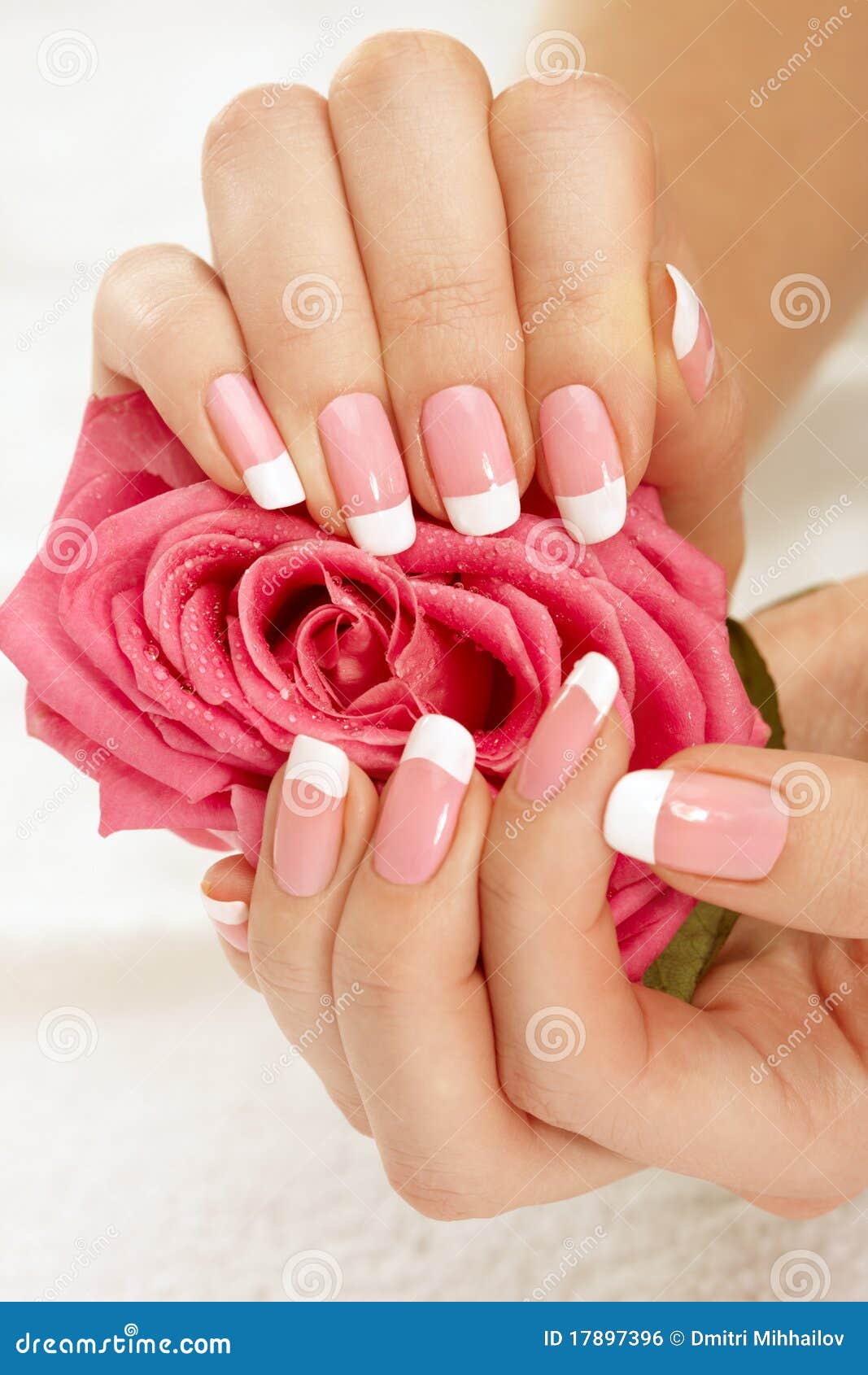 Manos con una rosa foto de archivo. Imagen de primer - 17897396