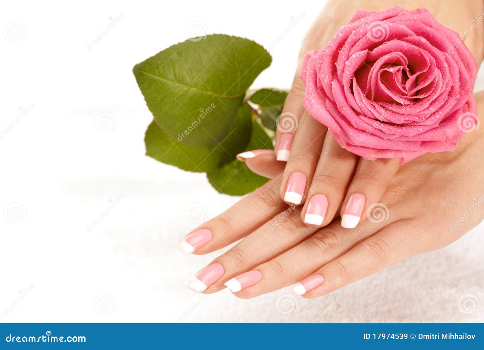 Manos con una rosa imagen de archivo. Imagen de rosa - 17974539