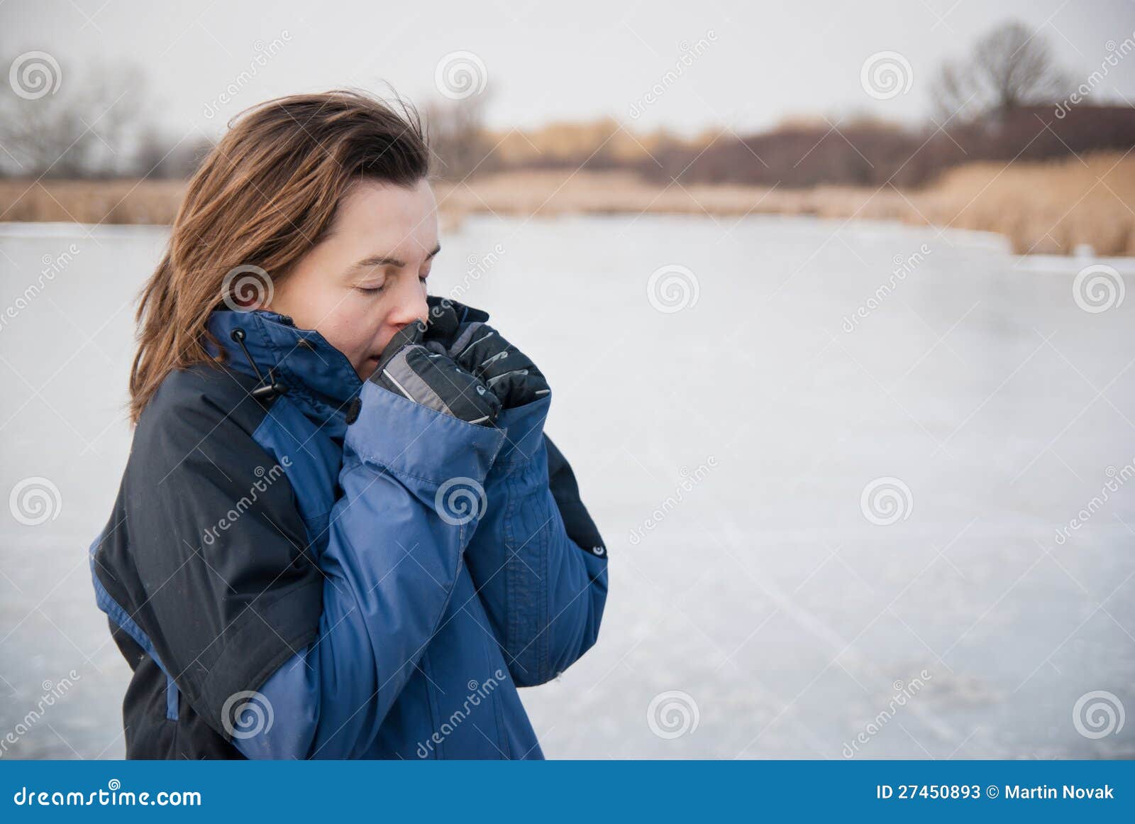 Manos Congeladas - Forma De Vida Del Invierno Imagen de archivo ...