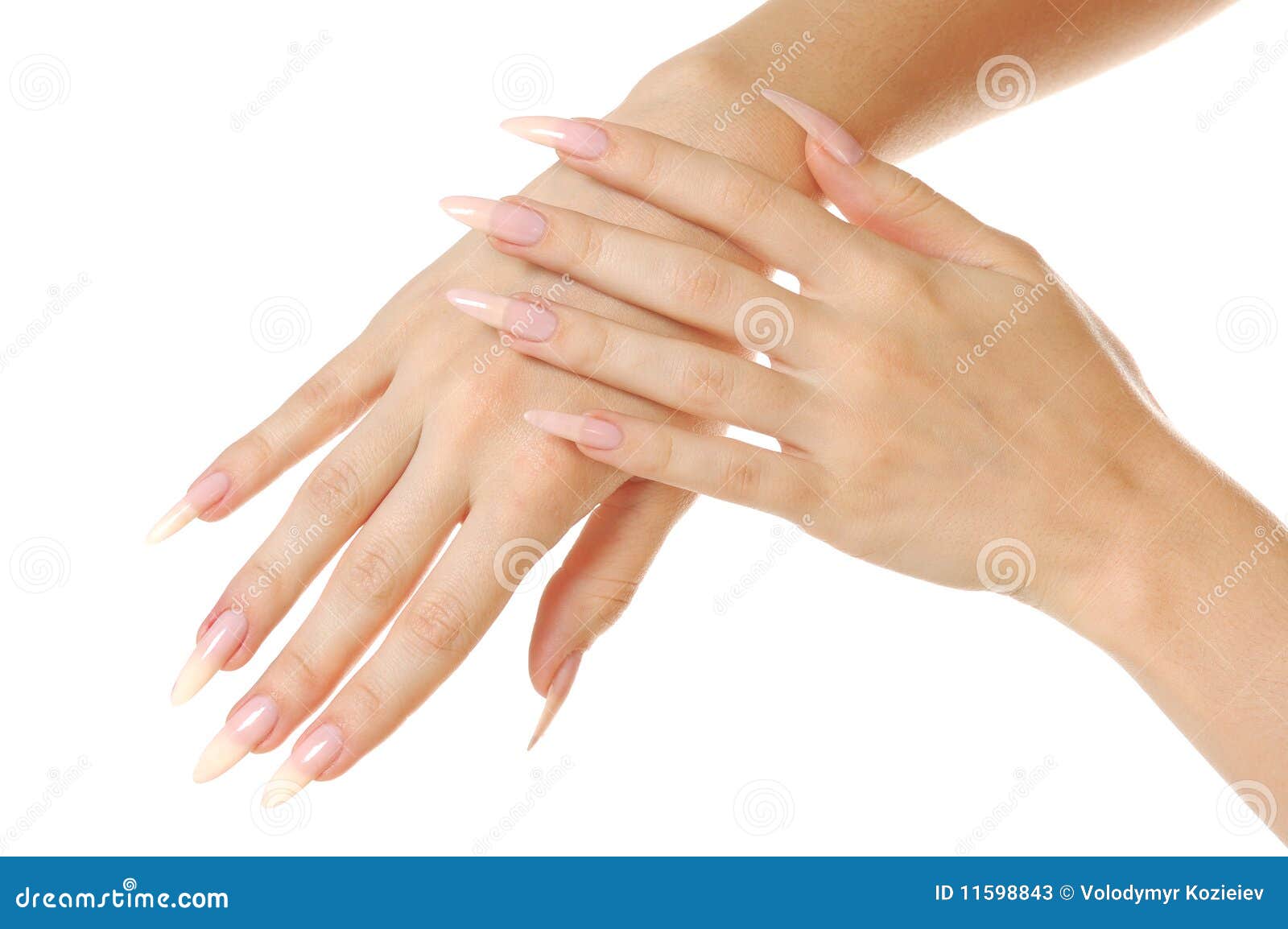 Manos de la mujer imagen de archivo. Imagen de concepto - 11598843
