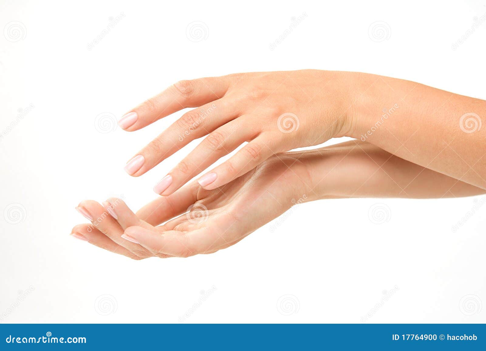 Manos de la mujer hermosa foto de archivo. Imagen de tratamiento - 17764900