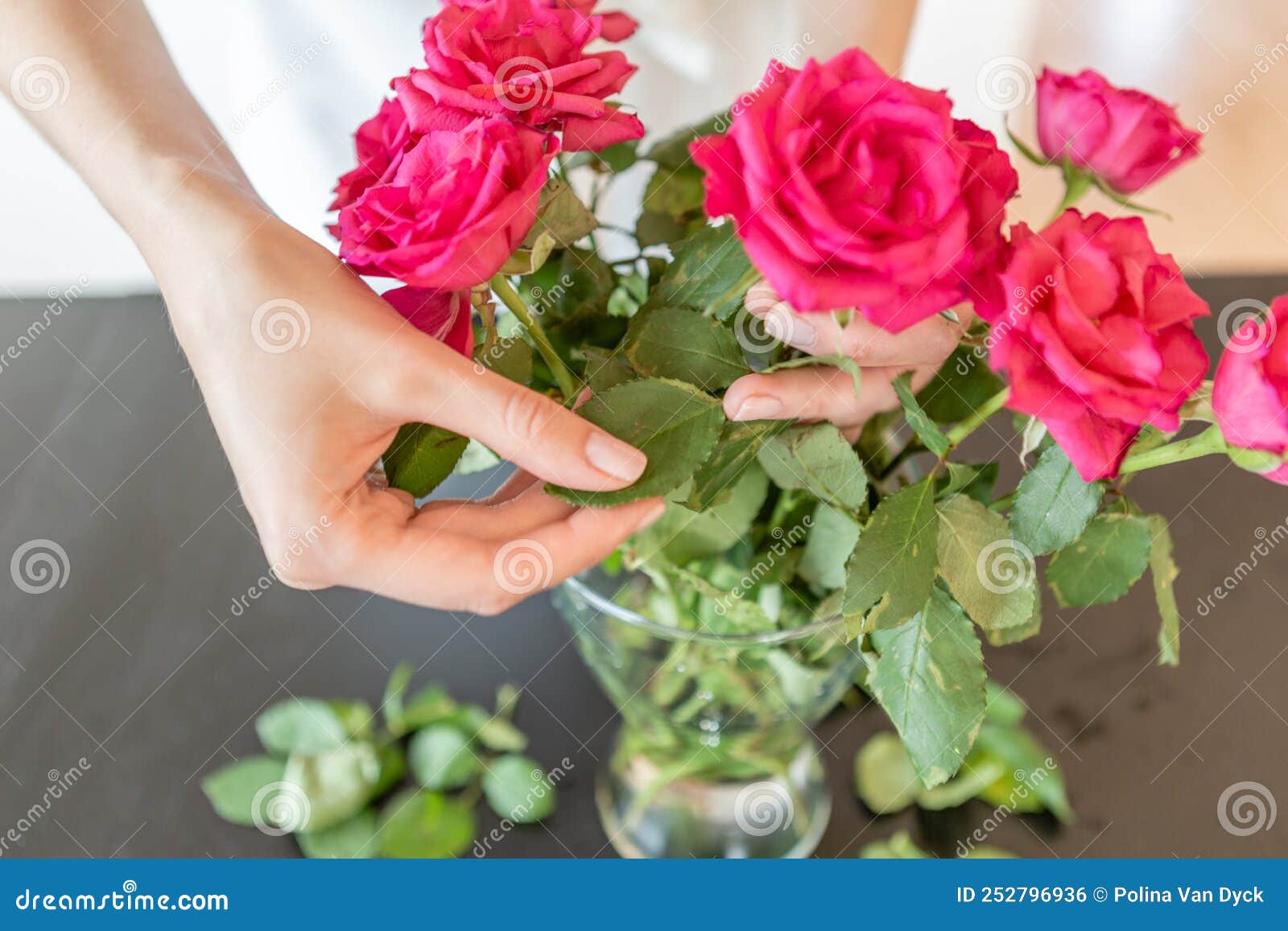 Manos De Mujer Cuidando Un Ramo De Rosa Foto de archivo - Imagen de ...