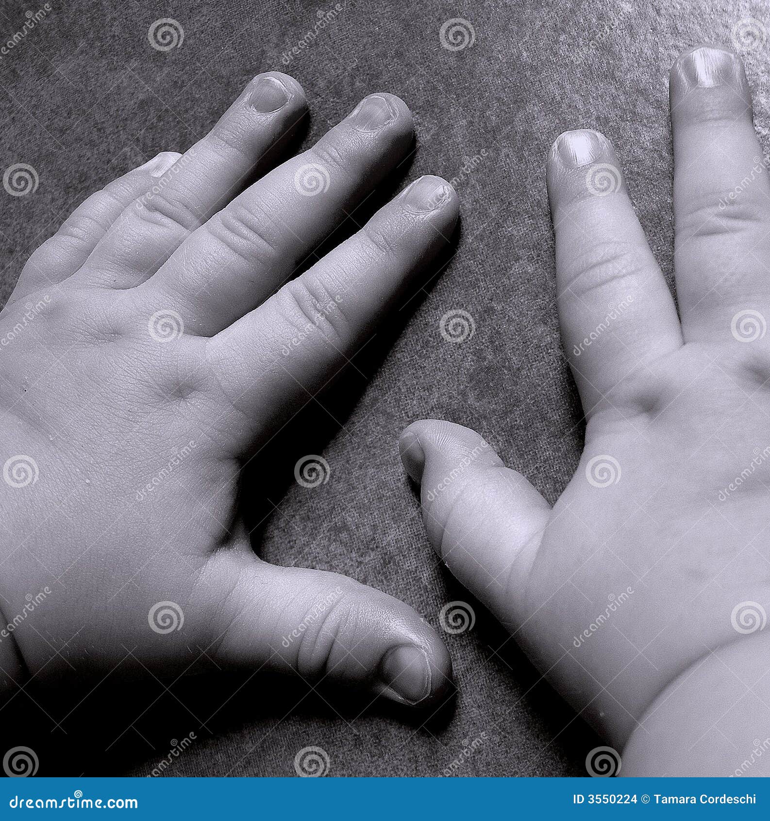 Manos del bebé foto de archivo. Imagen de bebe, bebé, manos - 3550224