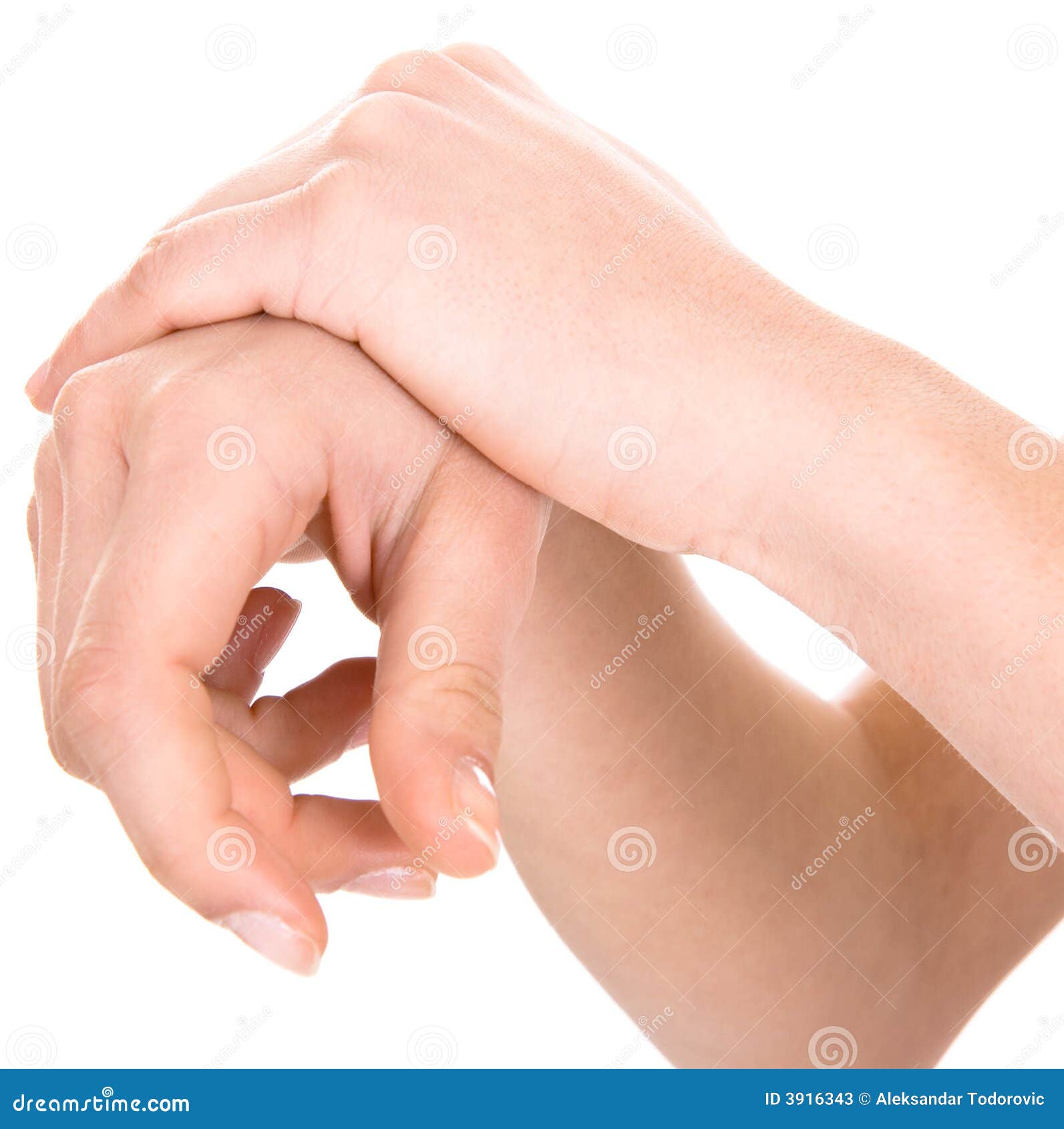 Manos en un fondo blanco imagen de archivo. Imagen de fondo - 3916343