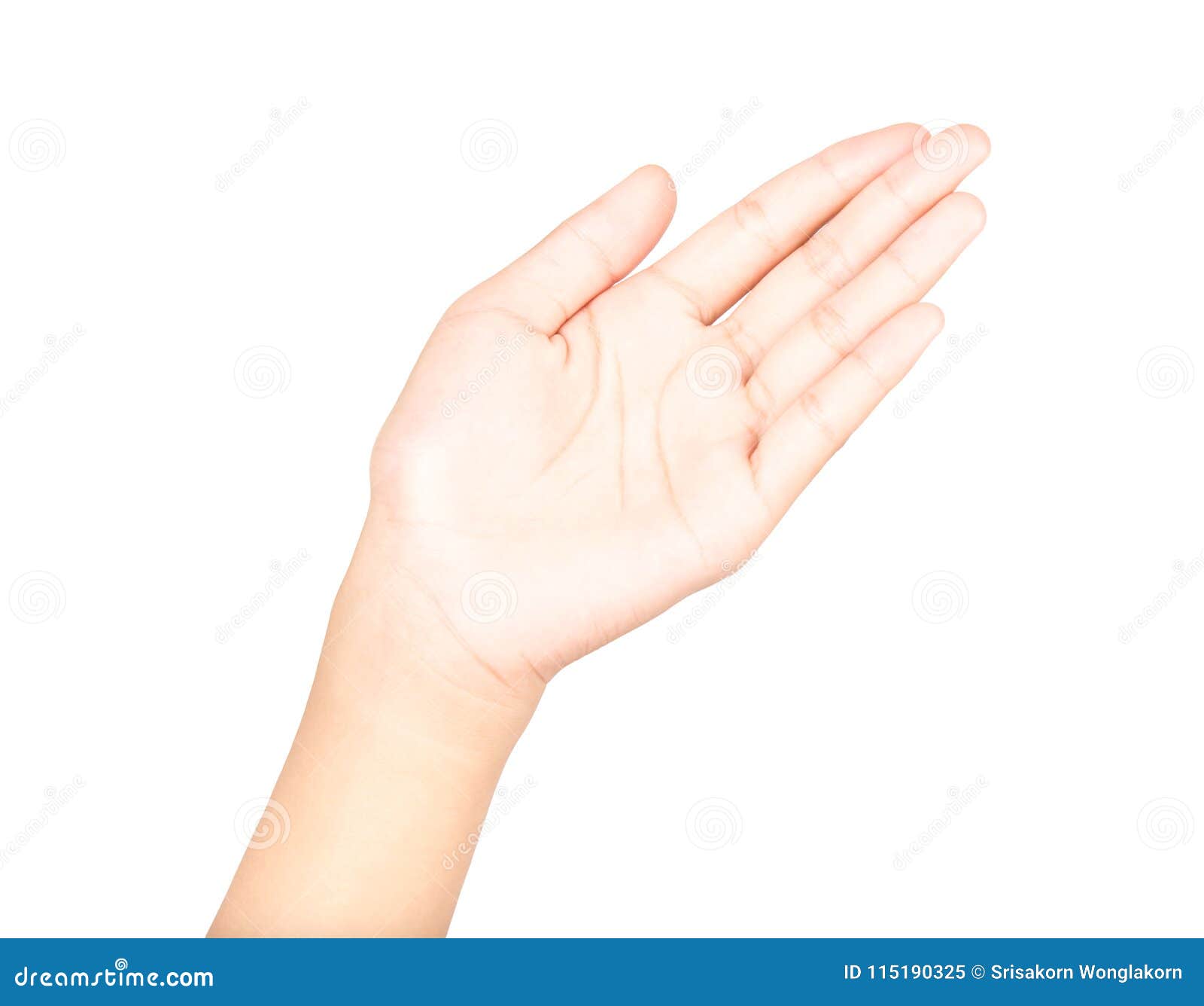 Manos Hermosas Y Manos Sanas Imagen de archivo - Imagen de humano ...