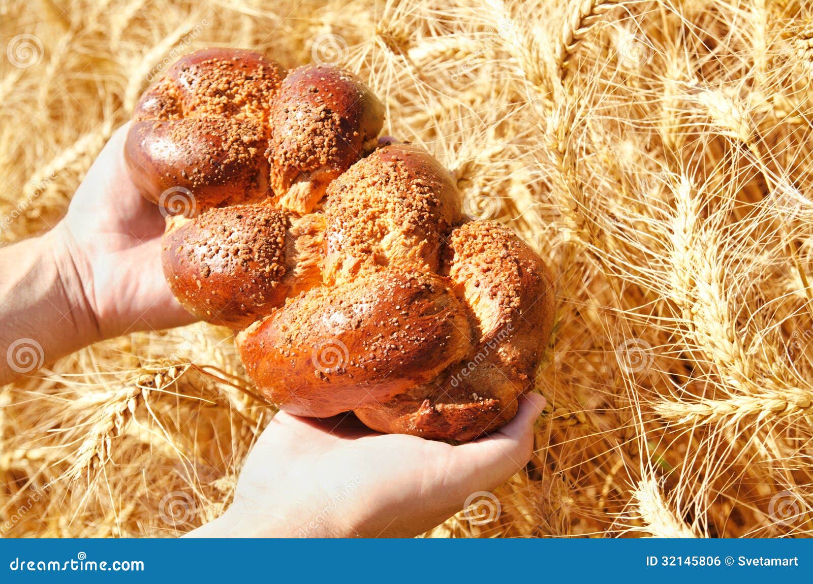 Manos Masculinas Que Sostienen El Pan Foto de archivo - Imagen de ...