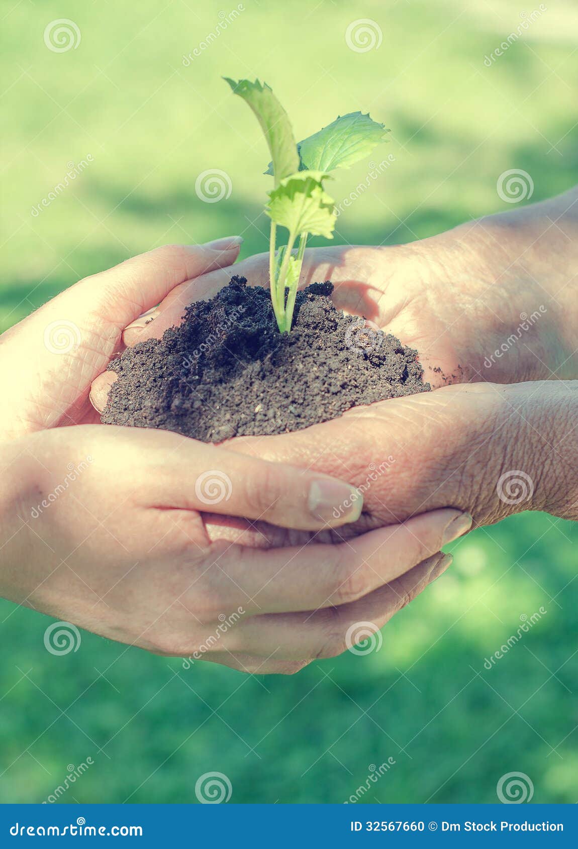 Manos Que Sostienen El Suelo Con El Brote Foto de archivo - Imagen de ...