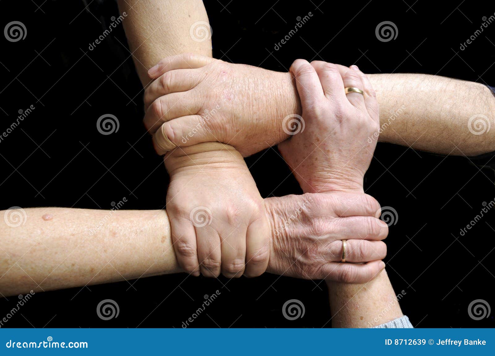 Manos unidas en la unión imagen de archivo. Imagen de casado - 8712639