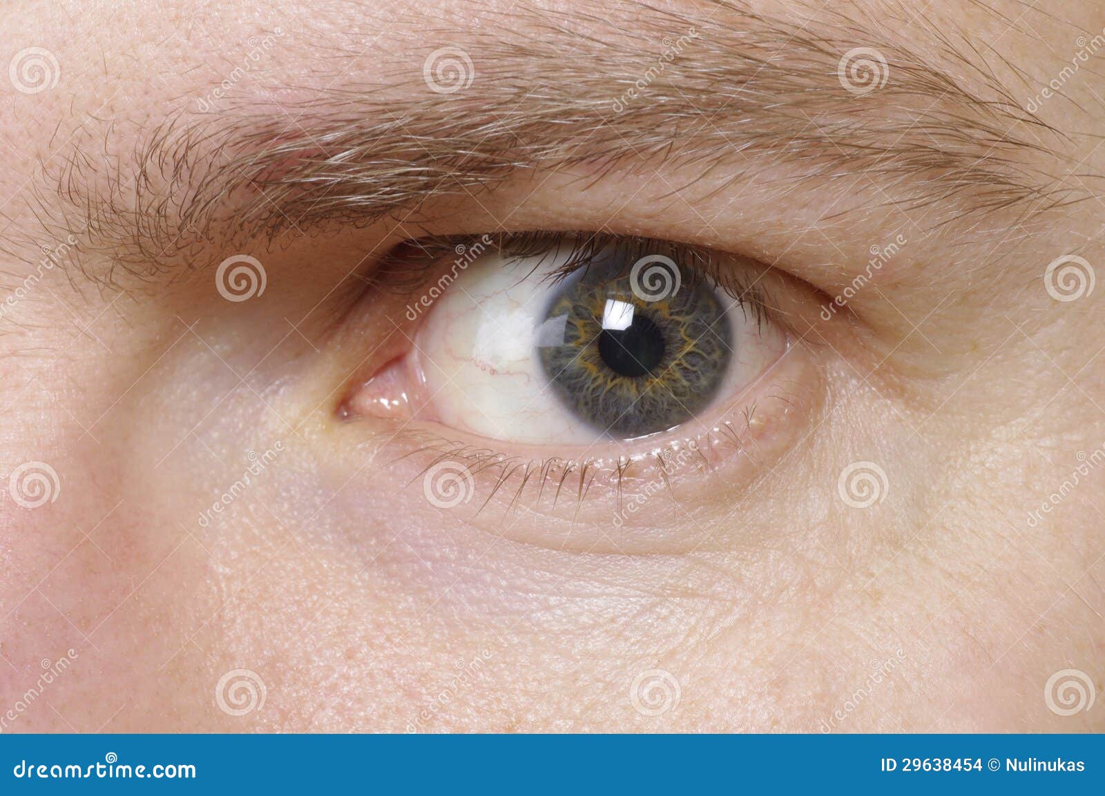 Mans eye stock photo. Image of look, ophthalmology, close - 29638454