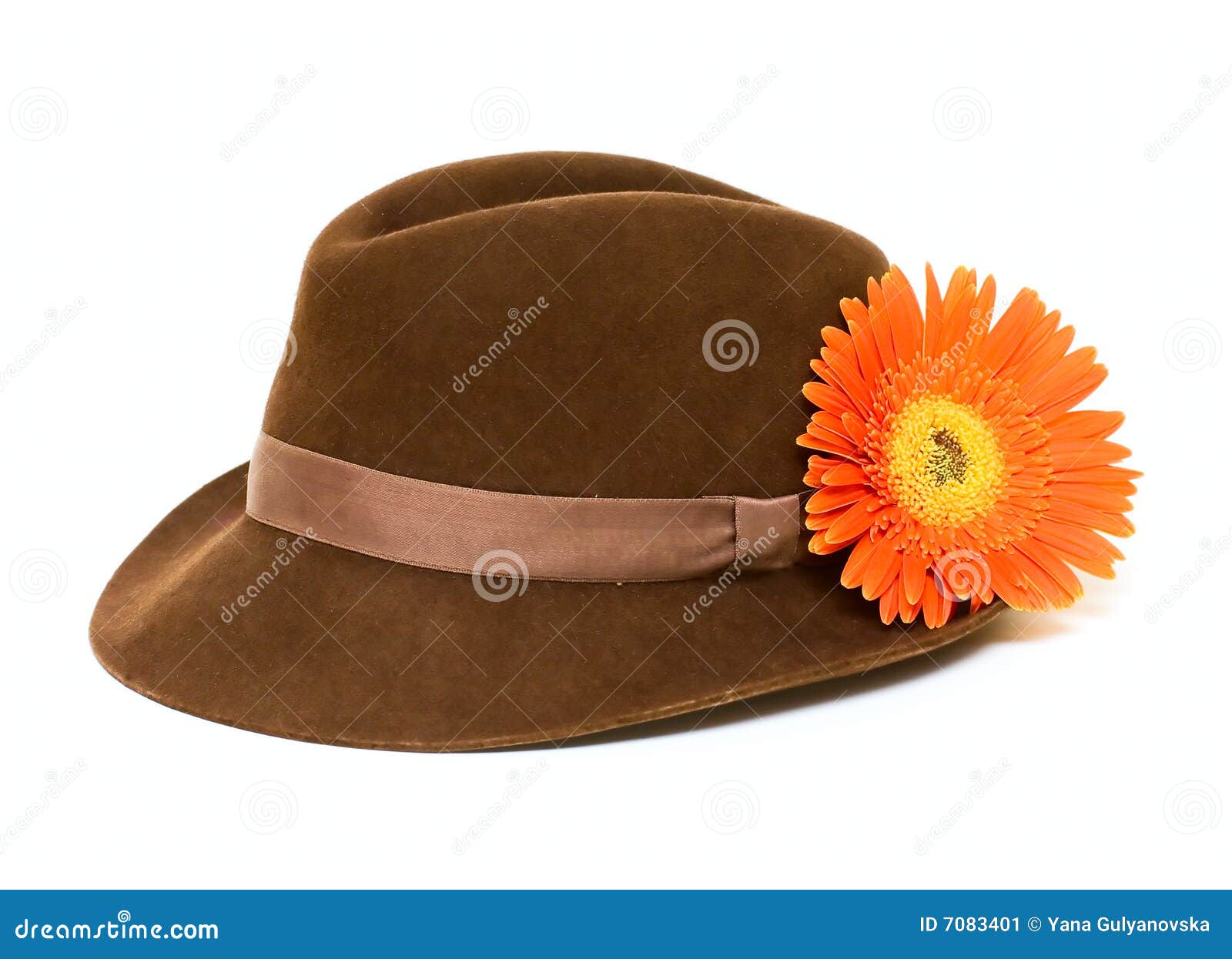 Mans hat with flower stock image. Image of closeup, classic - 7083401