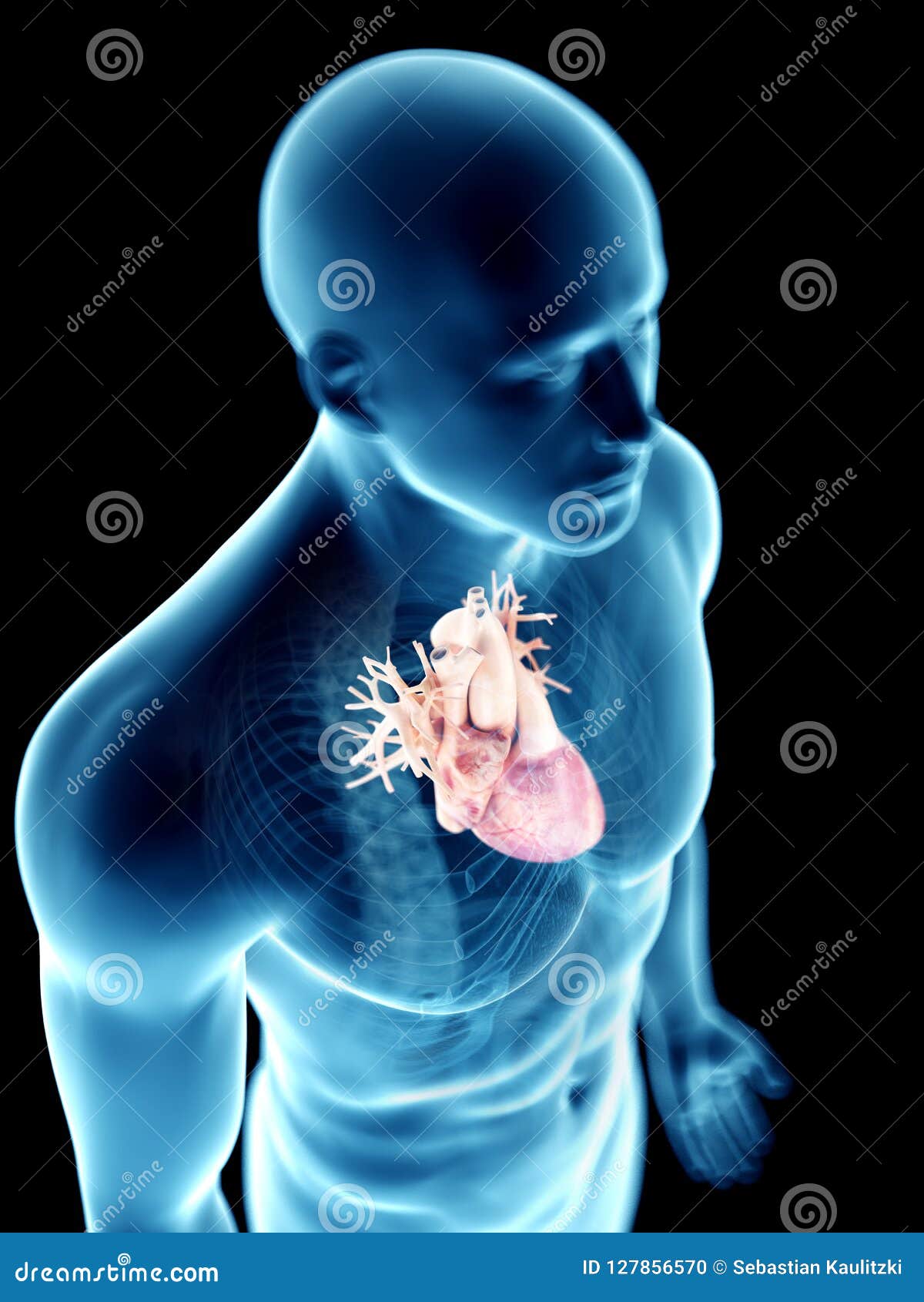A mans heart stock illustration. Illustration of male - 127856570
