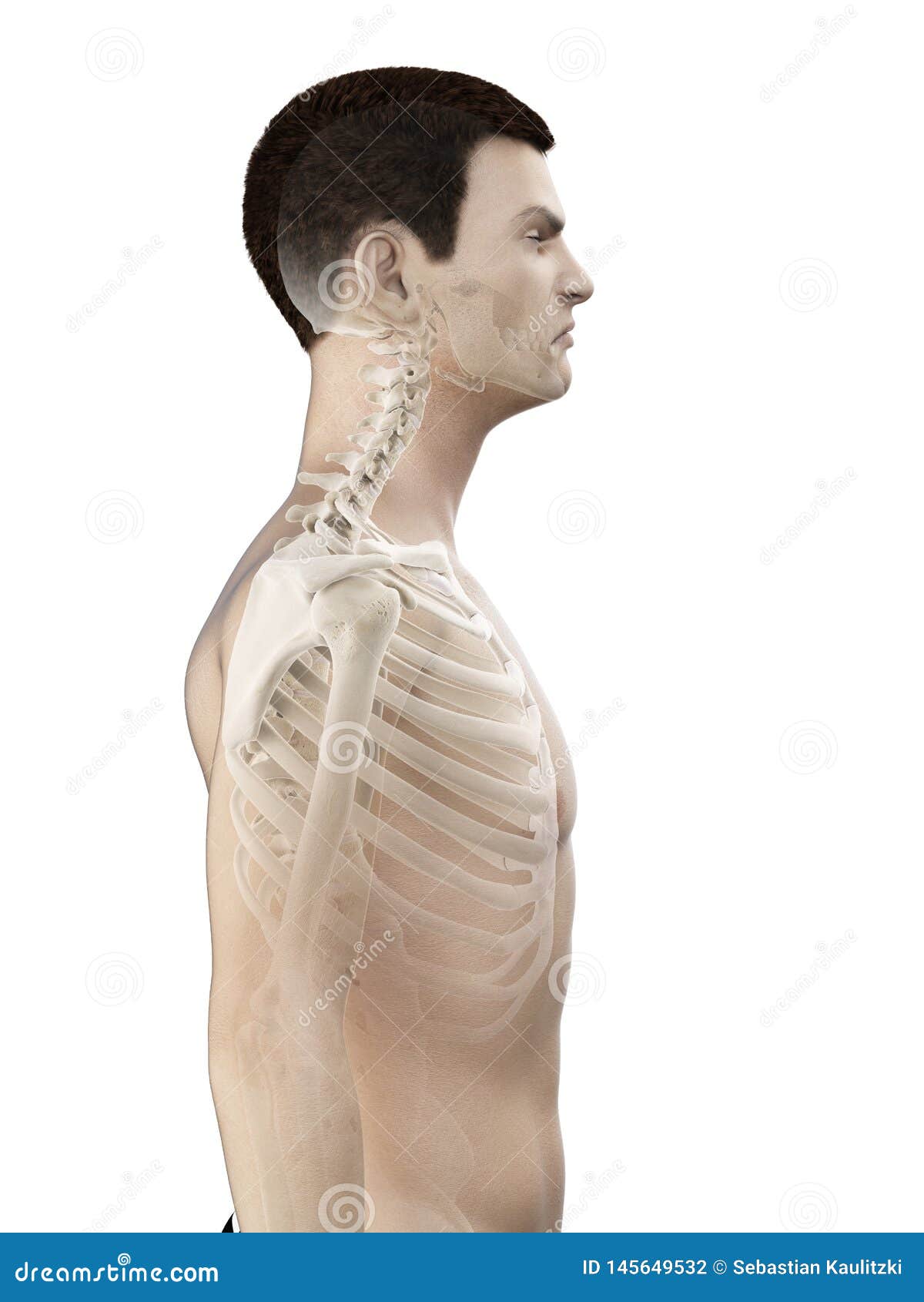 A mans neck stock illustration. Illustration of joint - 145649532