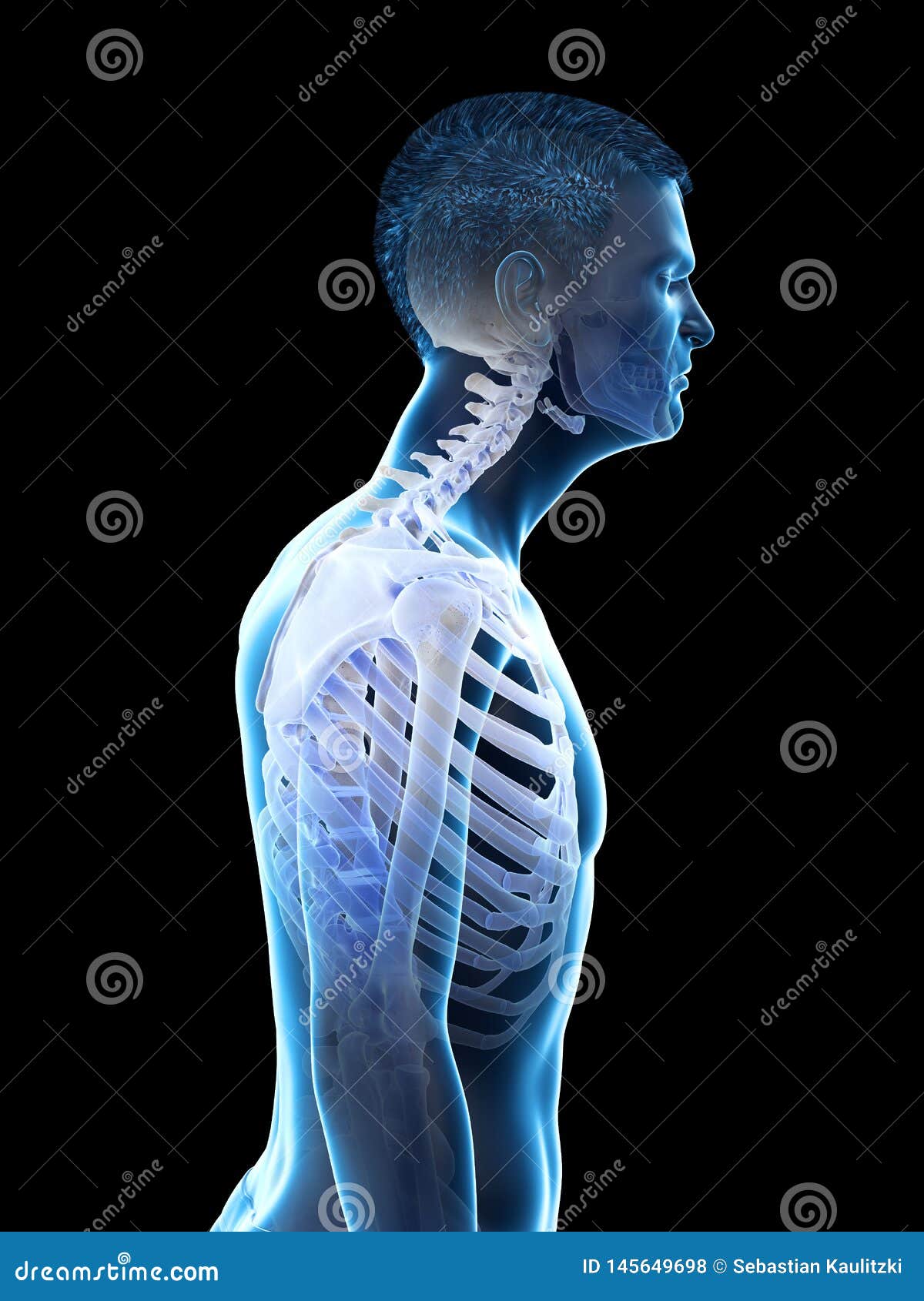 A mans neck stock illustration. Illustration of anatomy - 145649698