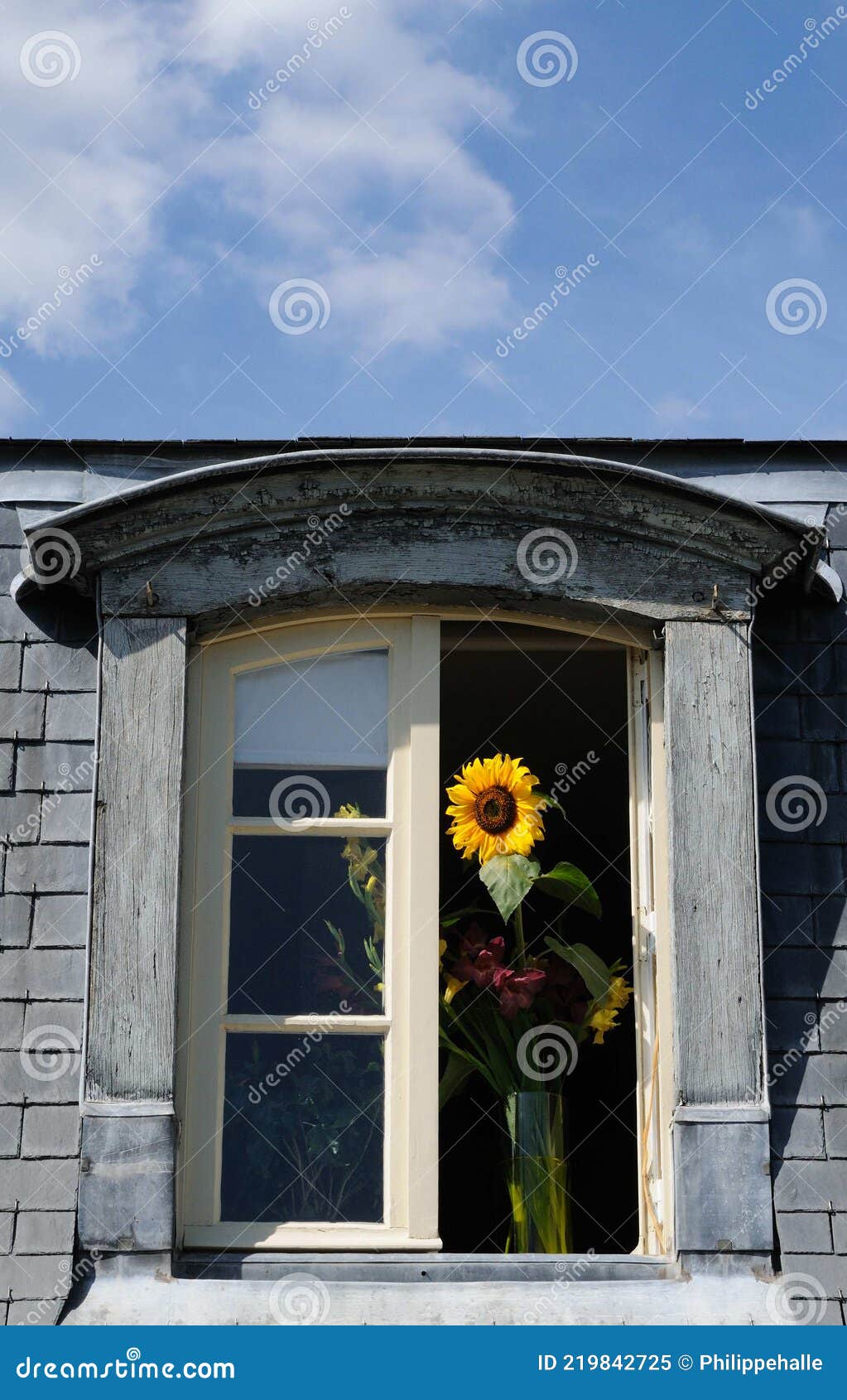 A mansard roof editorial image. Image of house, glass - 219842725