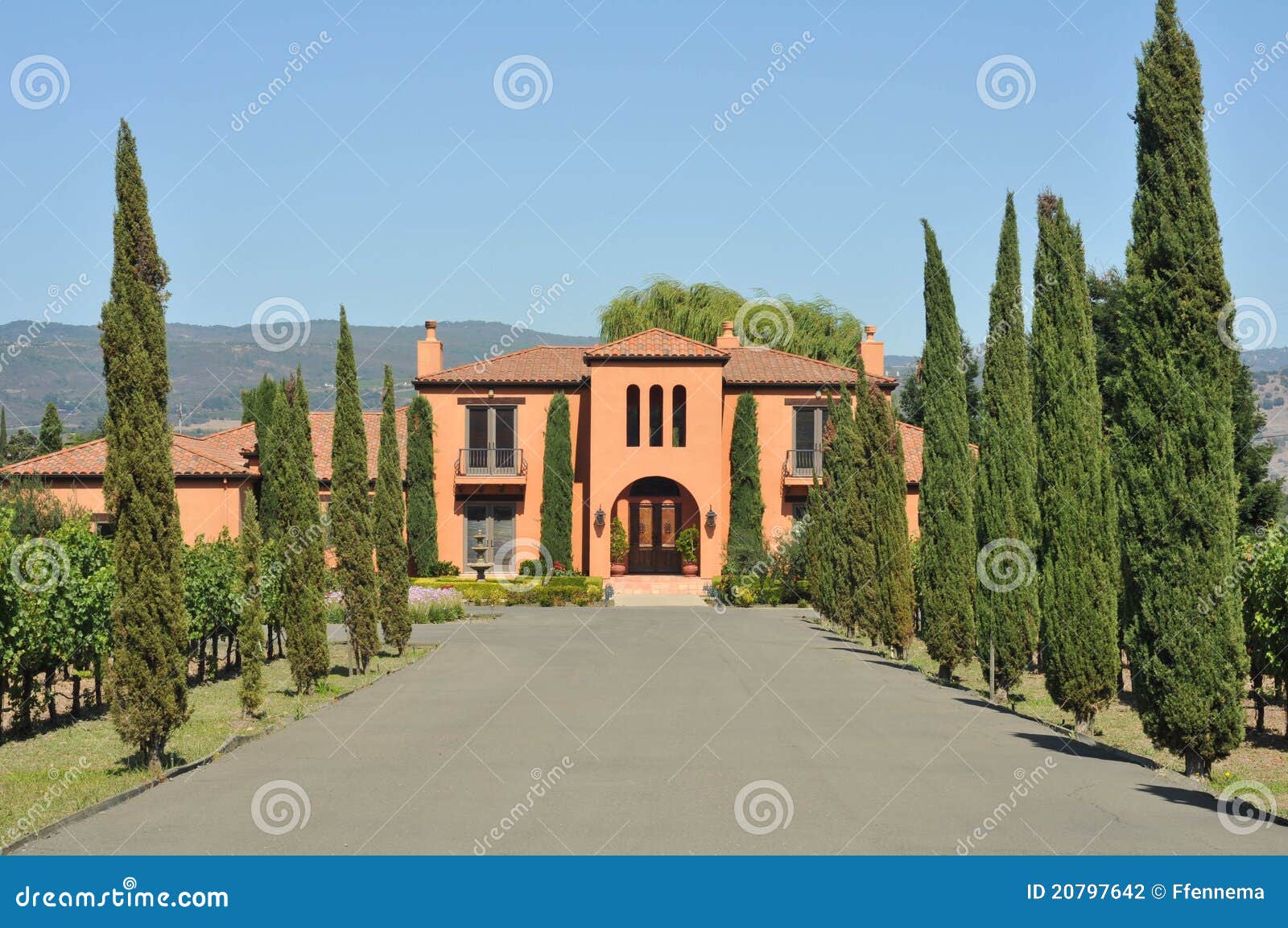 Mansion at End of Long Driveway with Trees Stock Photo - Image of ...