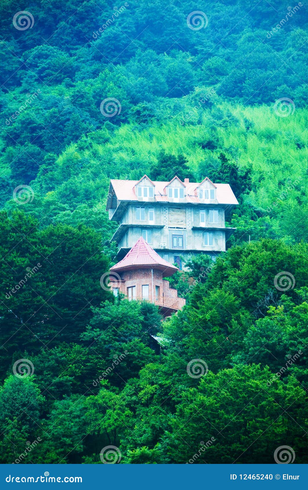 Mansion in the Middle of Forest Stock Photo - Image of mansion, peace ...