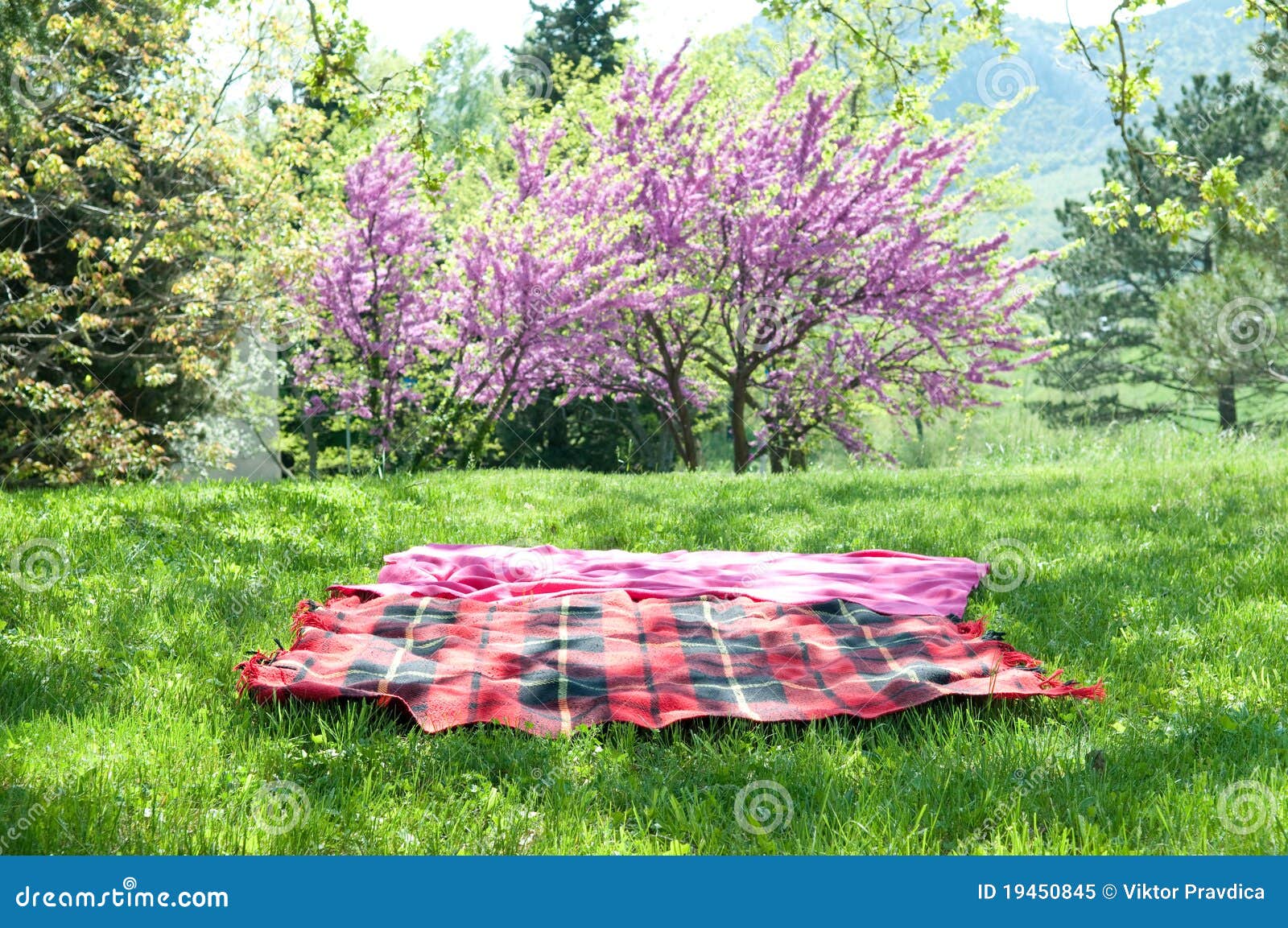 Manta De La Comida Campestre Imagen de archivo - Imagen de relaje ...