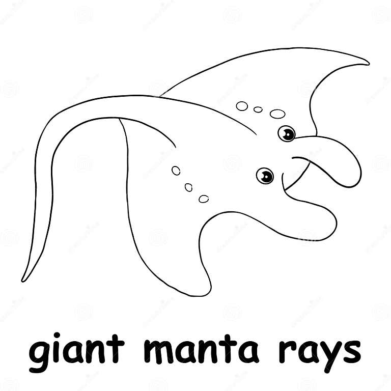 Kids Line Illustration Coloring Giant Manta Rays. Outline Vector for ...