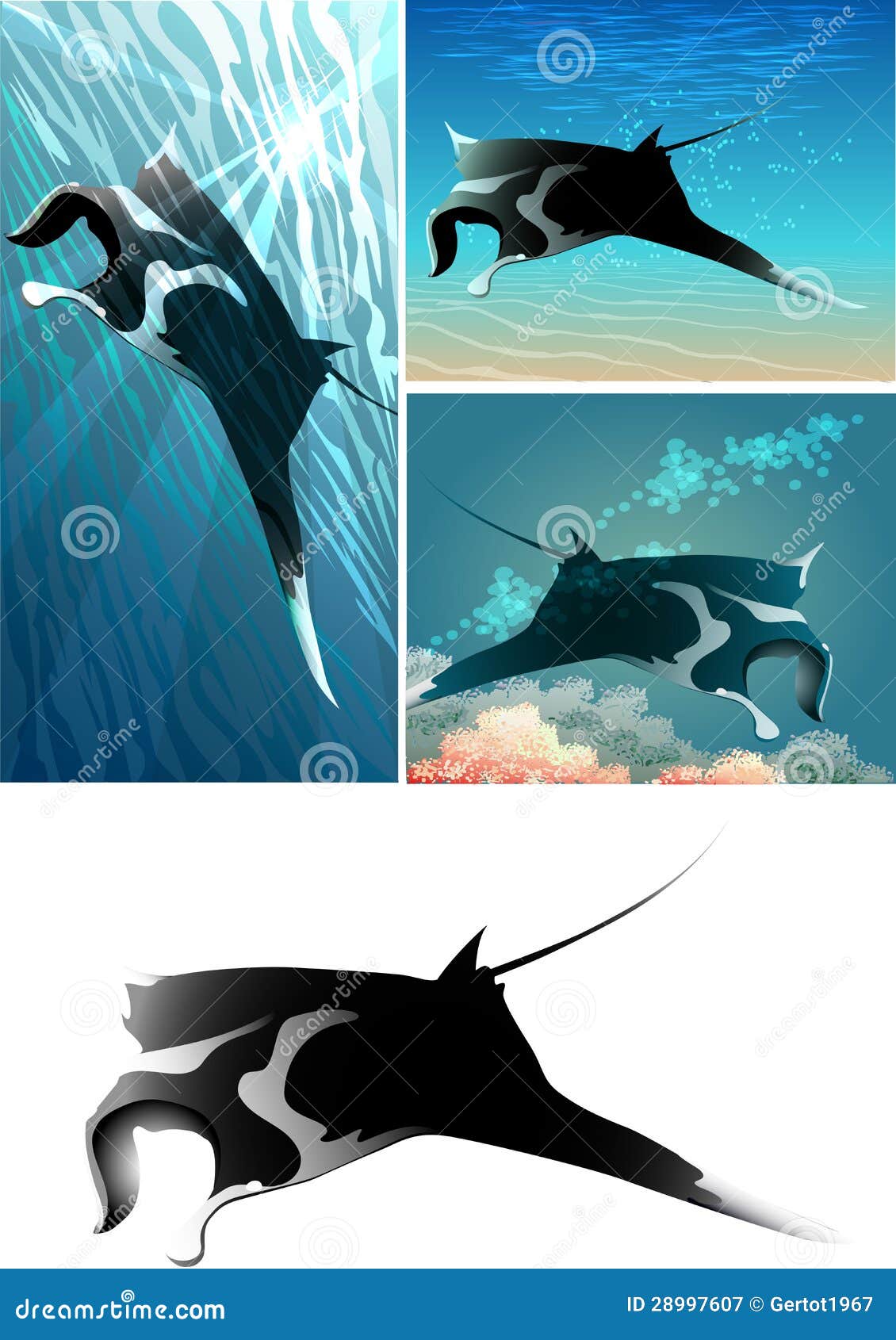 Mantas Swimming Club Logo. Two Mantas Silhouette On Blue Gradient ...