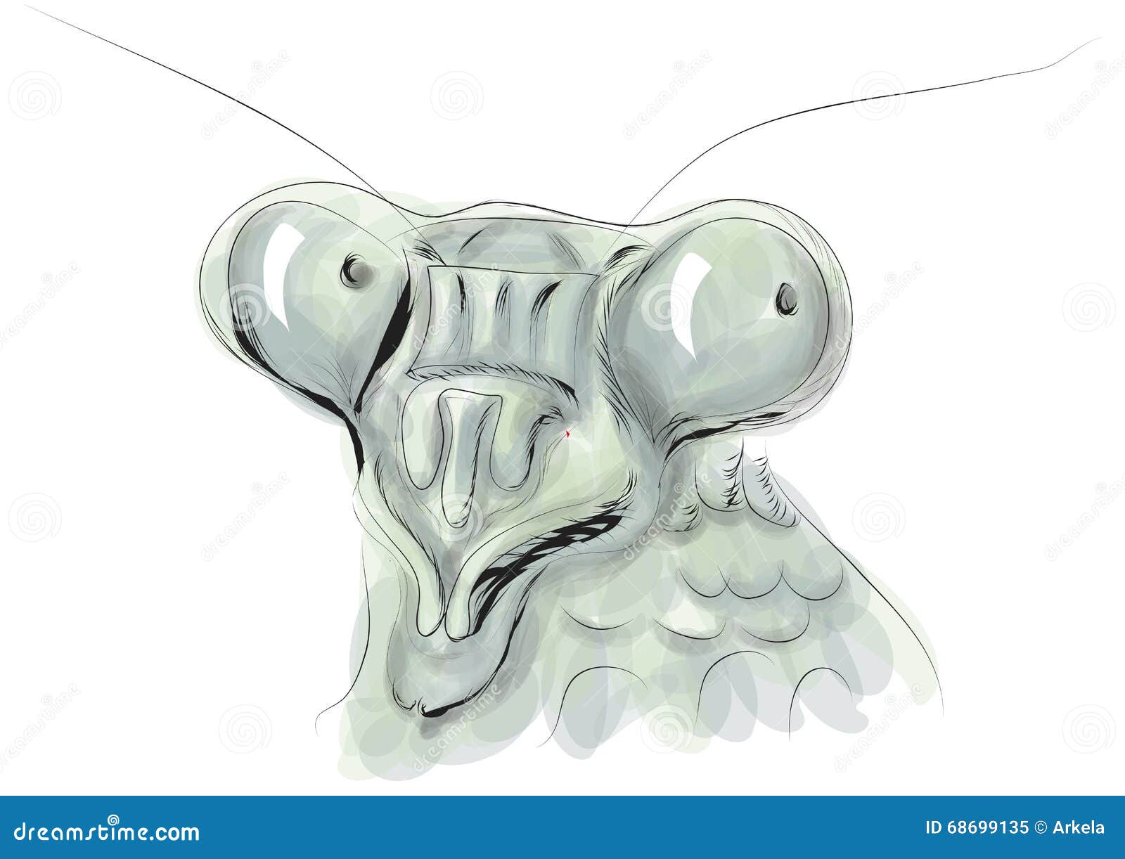 Mantis head stock vector. Illustration of scary, predator - 68699135