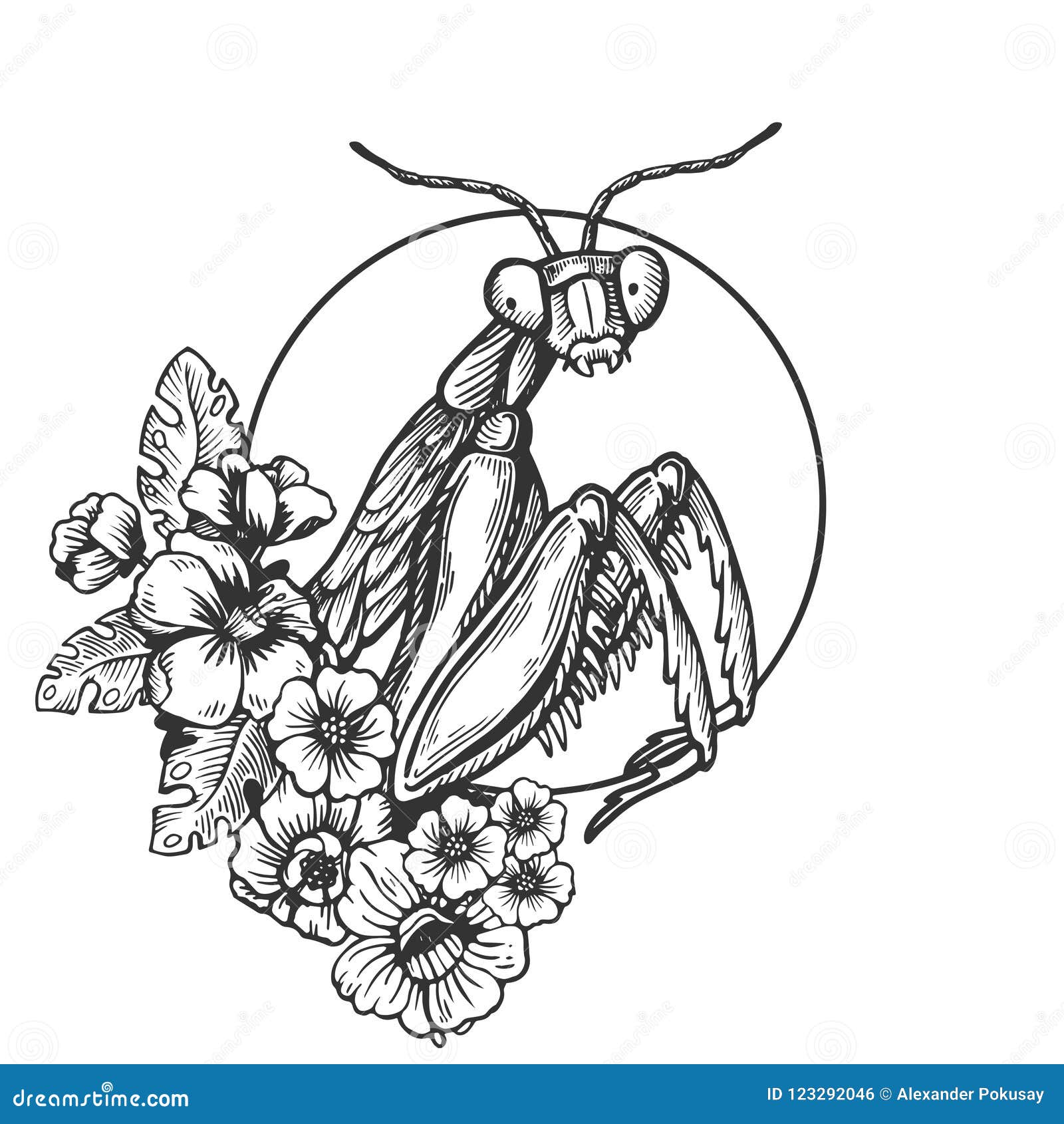 Mantis Insect Engraving Vector Illustration Stock Vector - Illustration ...