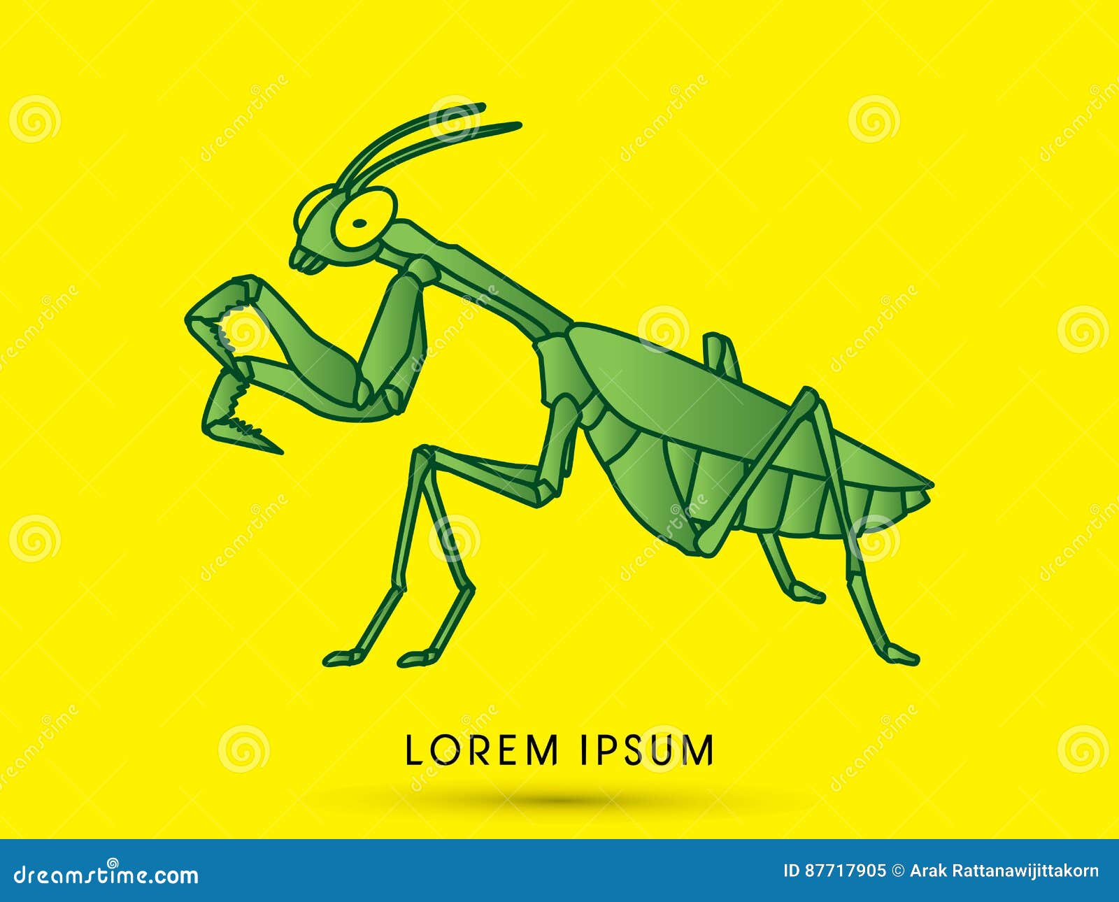 Mantis Mantodea Grasshopper Stock Vector - Illustration of design ...