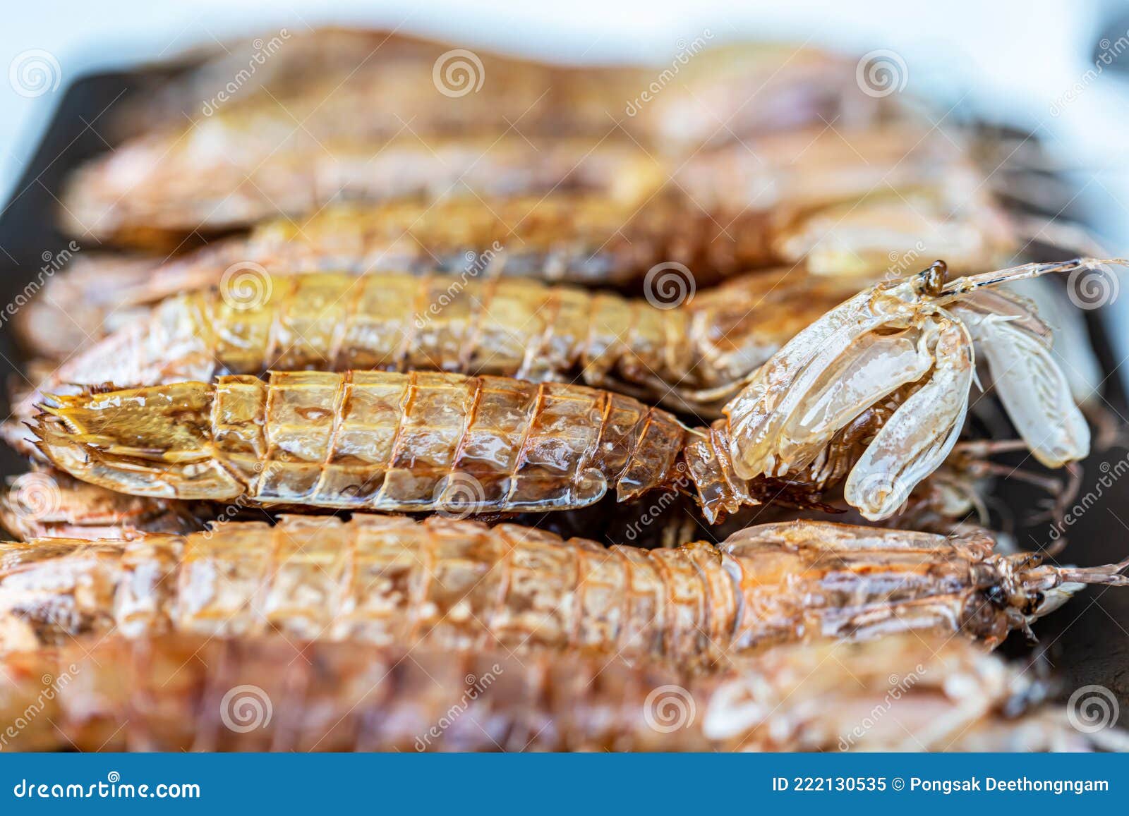 Mantis Prawns in Fried Garlic Stock Image - Image of nature, antennae ...