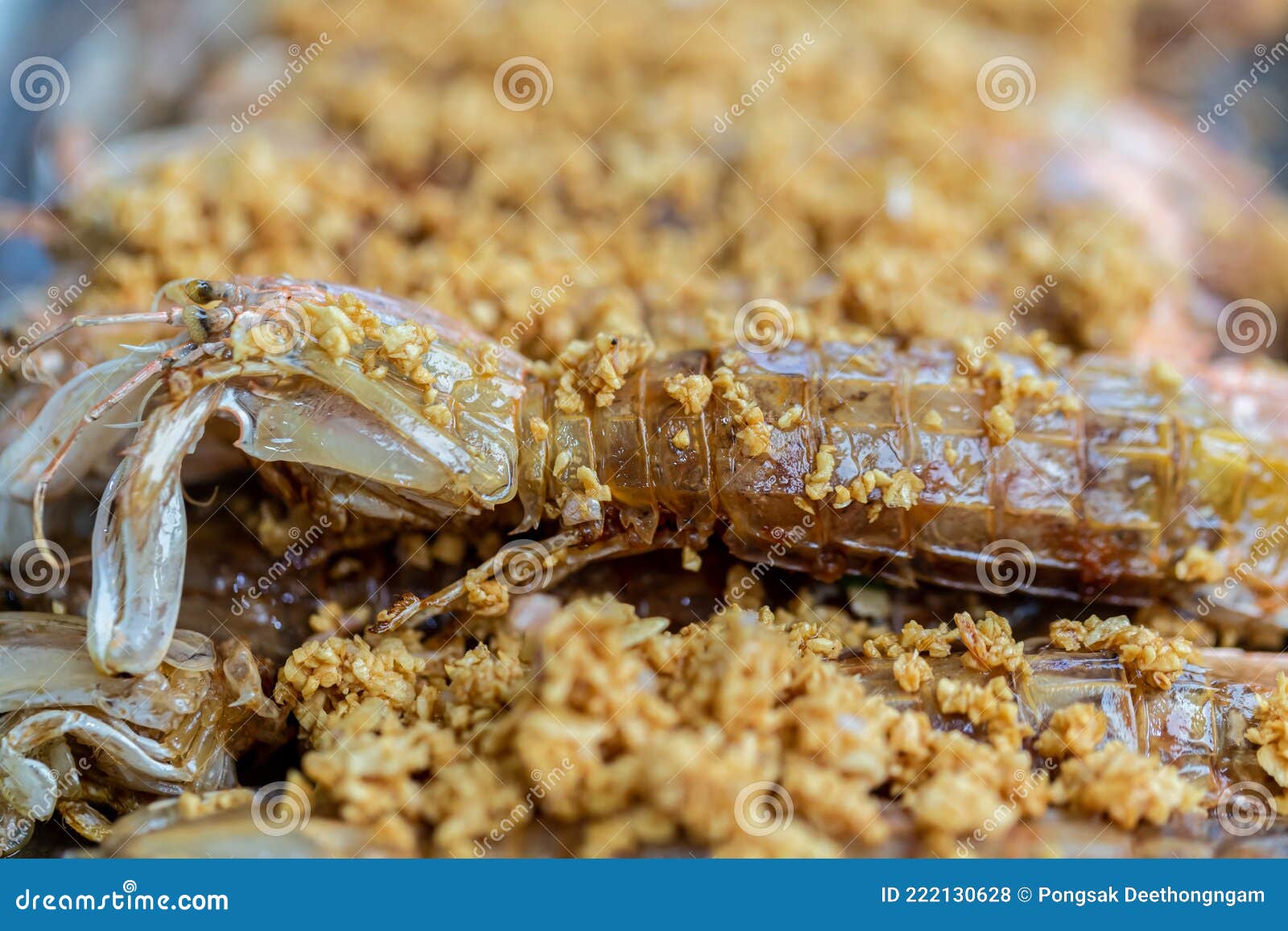 Mantis Prawns in Fried Garlic Stock Photo - Image of fresh, cuisine ...