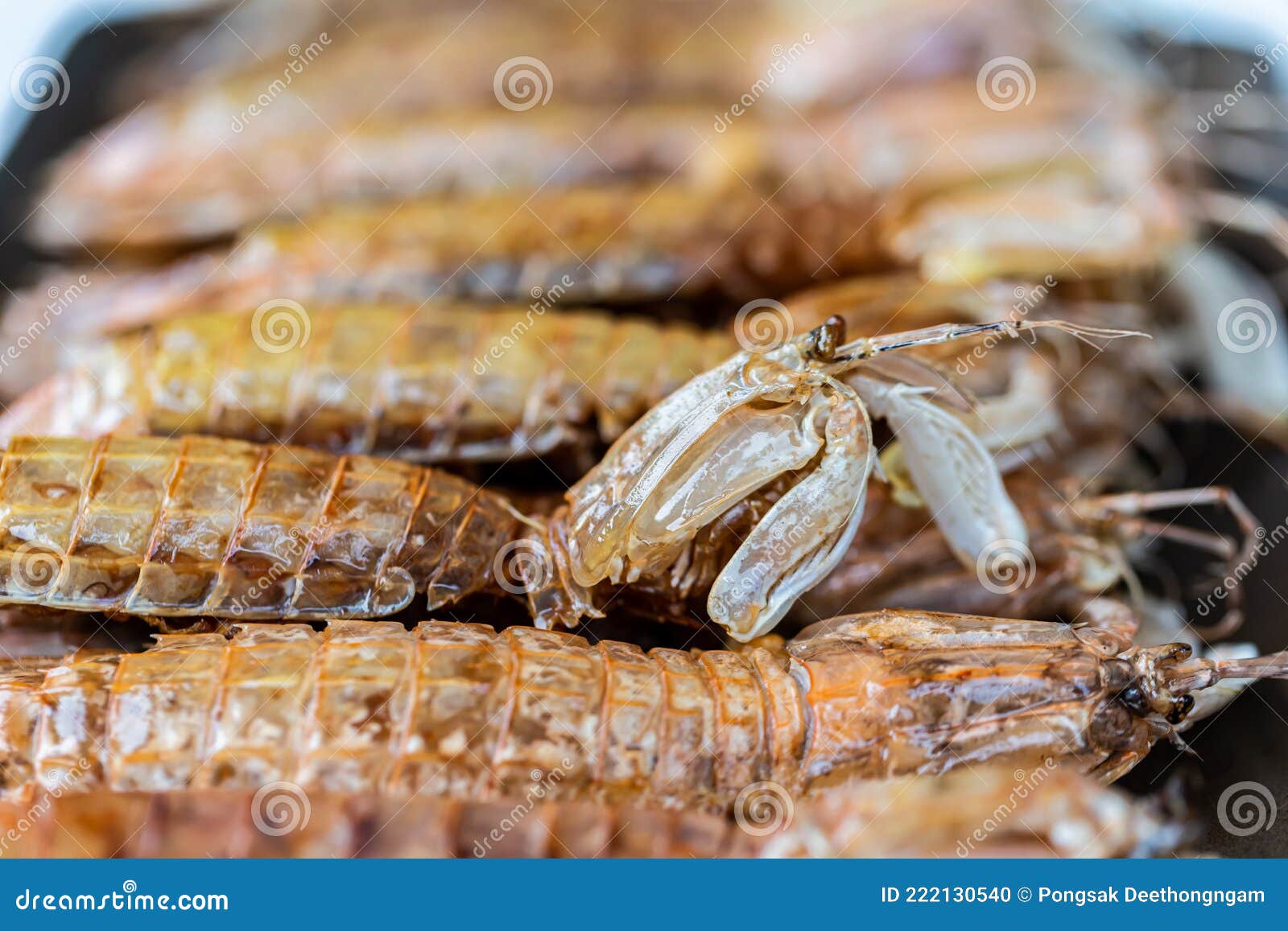 Mantis Prawns in Fried Garlic Stock Photo - Image of cook, dinner ...