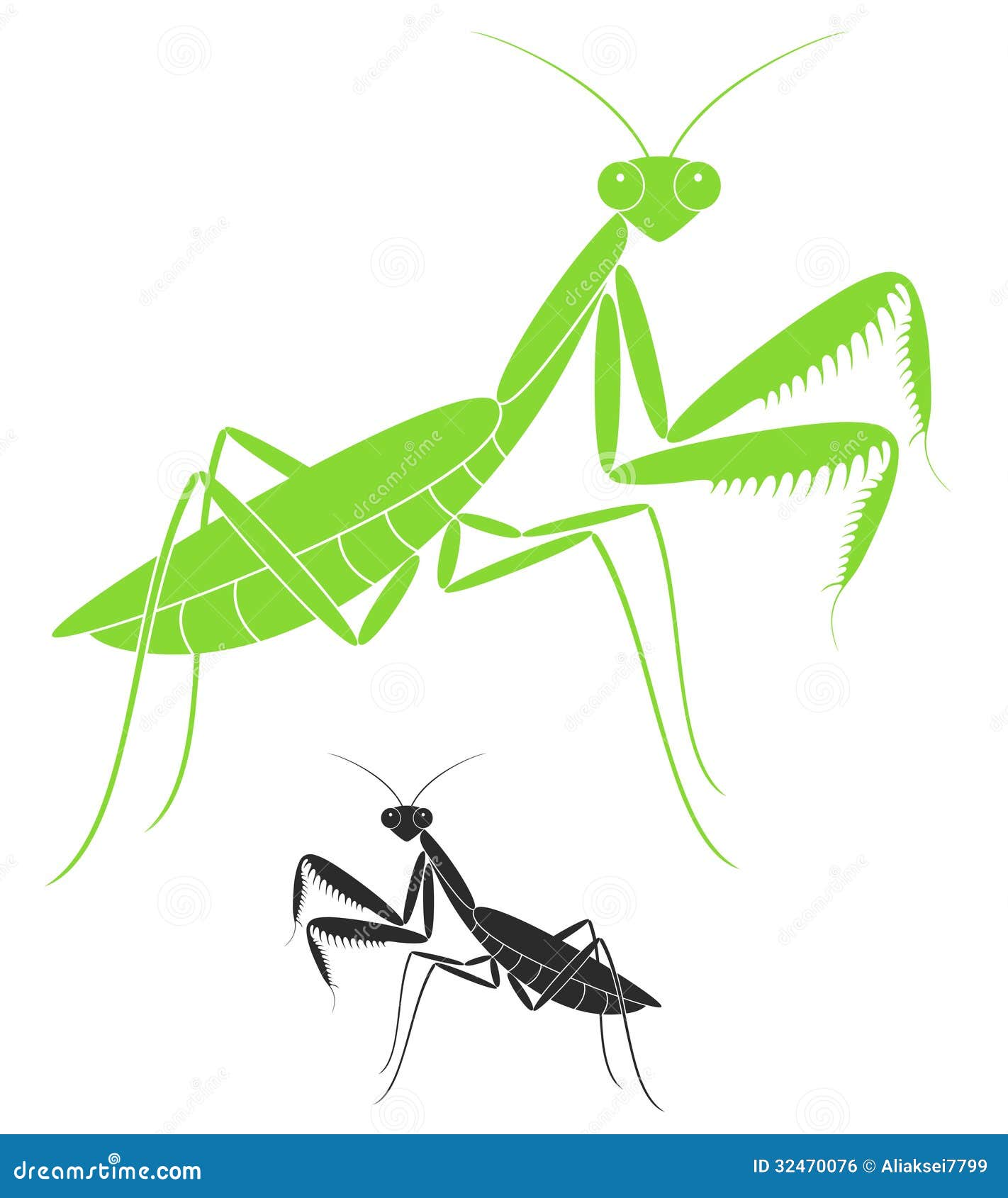 Mantis religiosa ilustración del vector. Ilustración de vector - 32470076