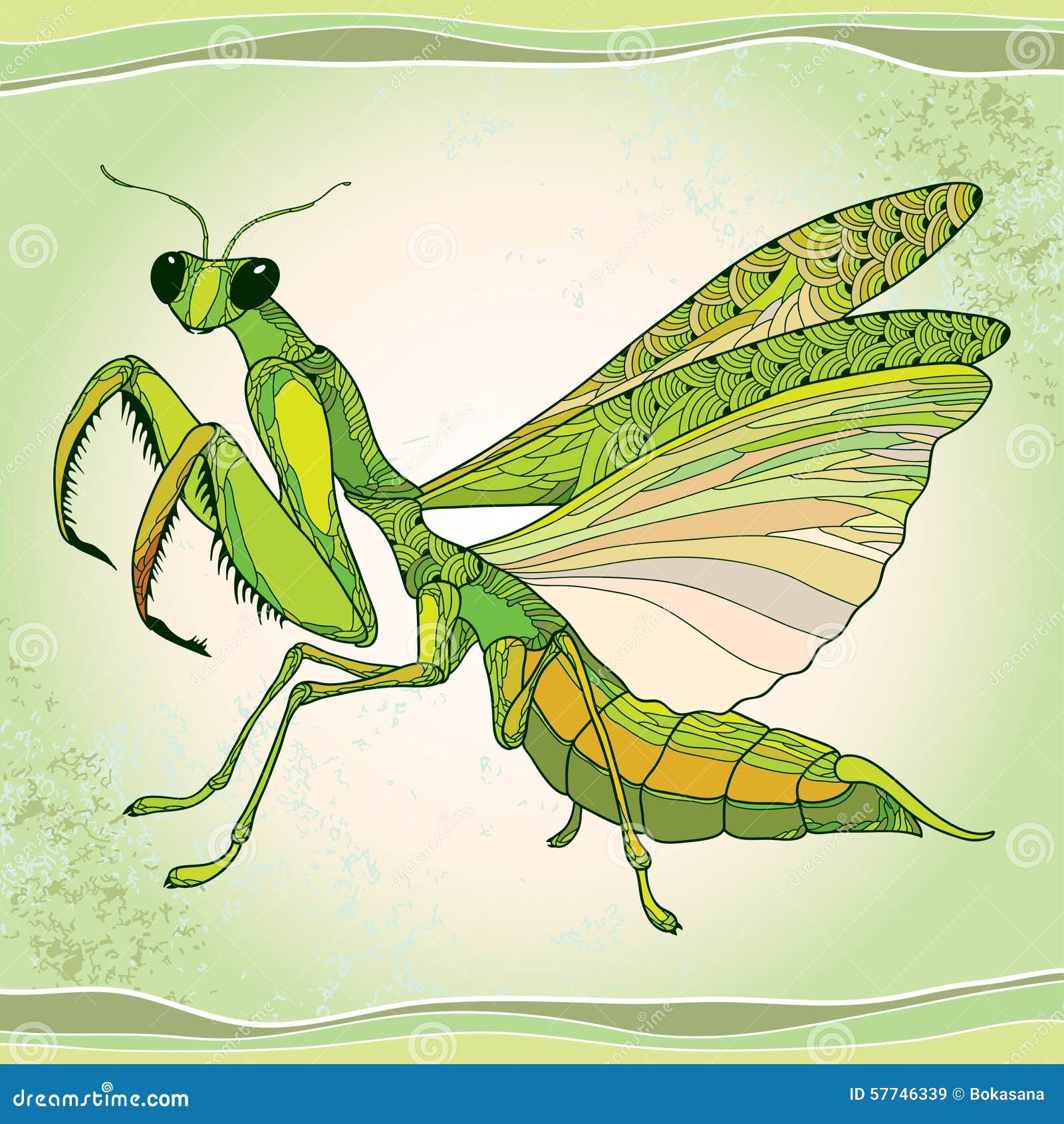 Mantis Religiosa, Various Images, Vector, Black, Silhouette, Nature ...