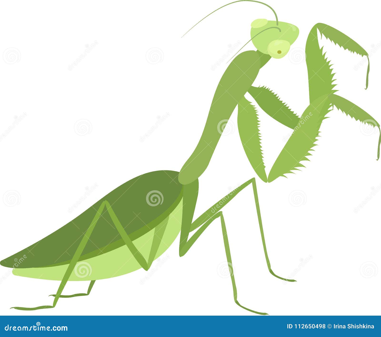 Mantis Religiosa Verde De La Historieta Aislada En Blanco Ilustración ...