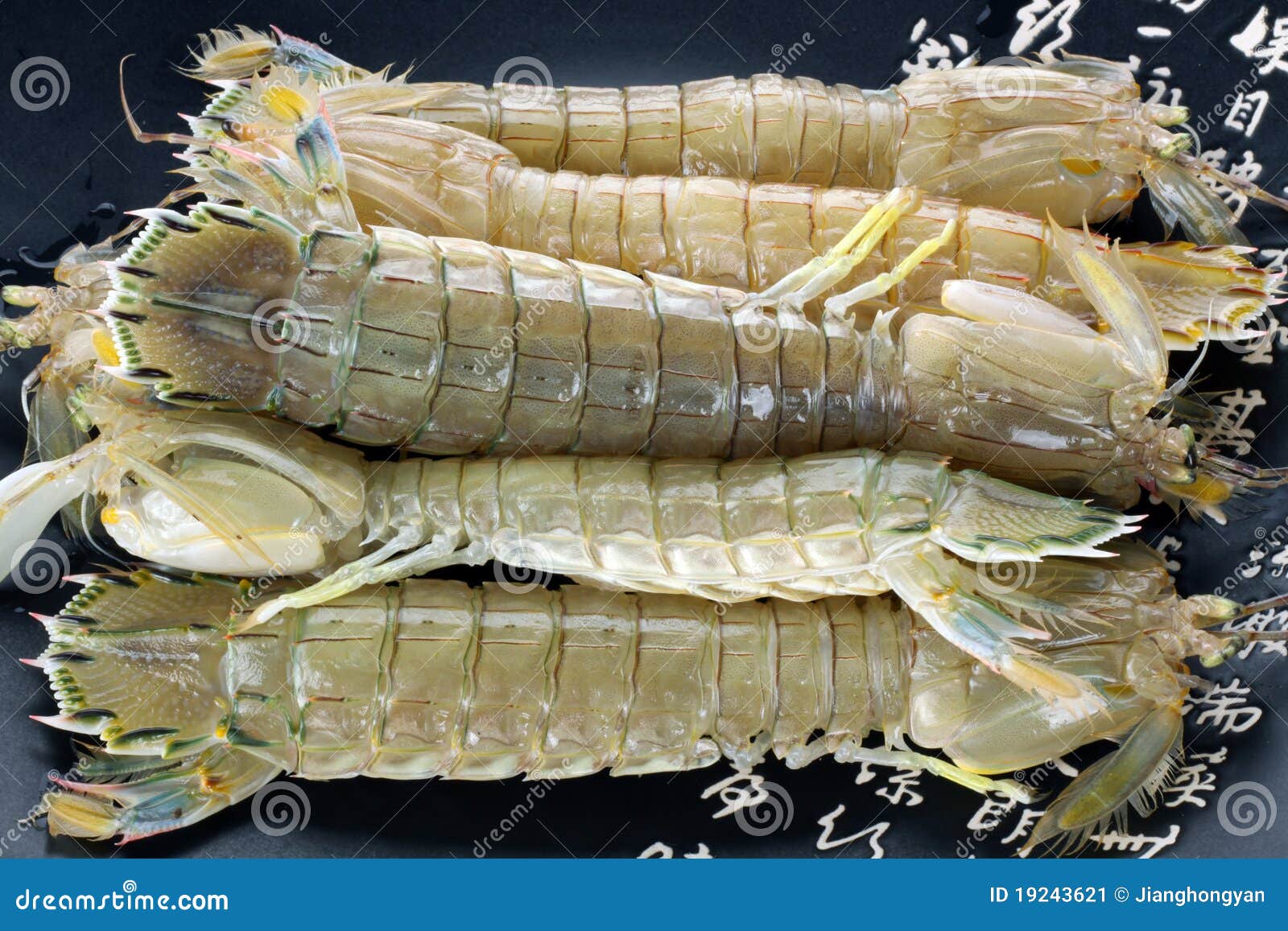 Mantis Shrimp stock image. Image of lunch, freshness - 19243621