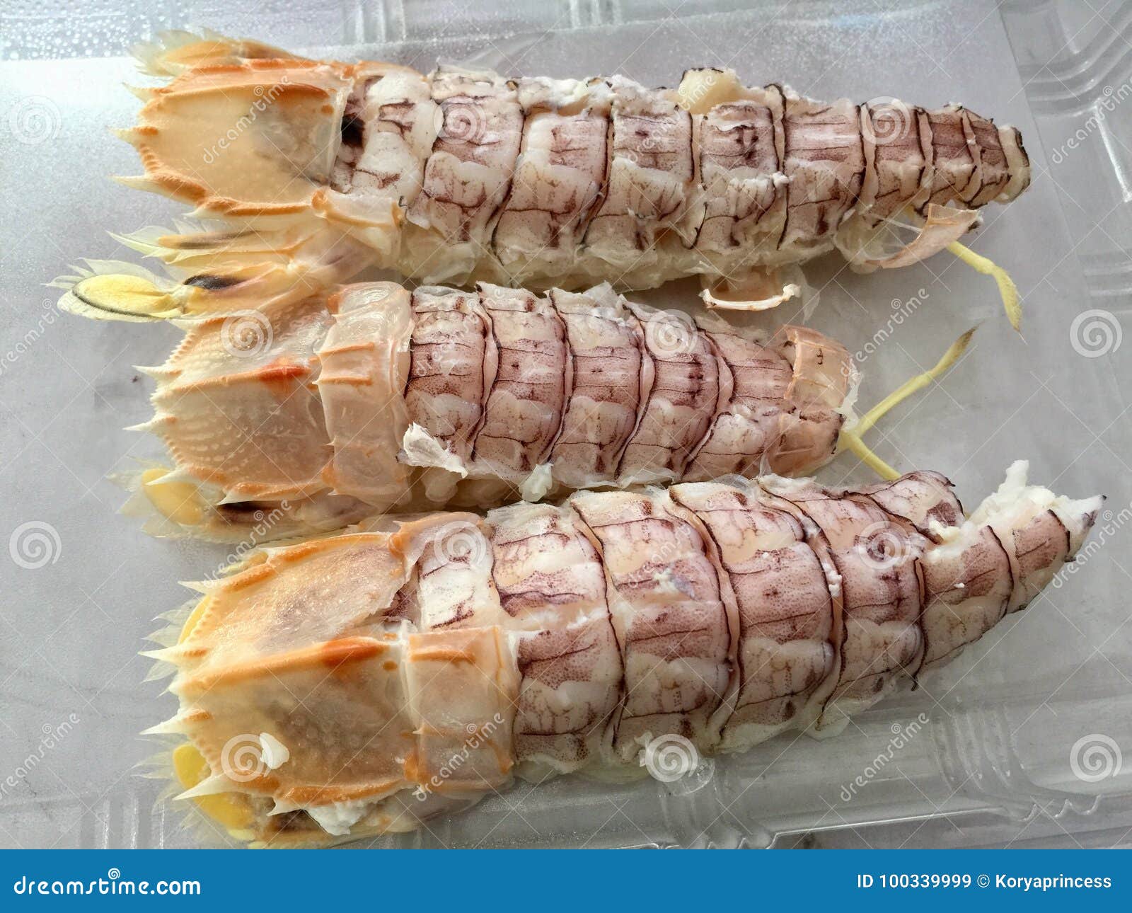 Mantis shrimp stock image. Image of mantis, restaurant - 100339999