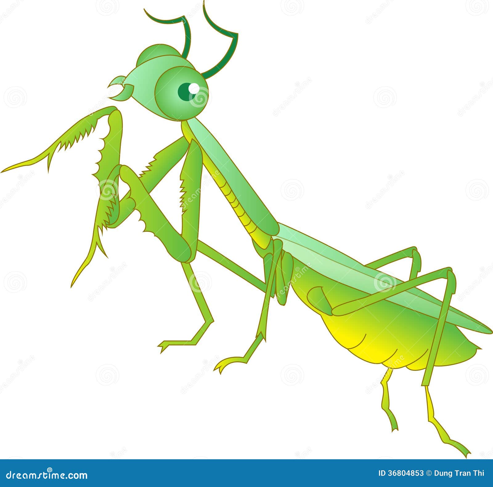 Mantises Cartoon Vector | CartoonDealer.com #36804853